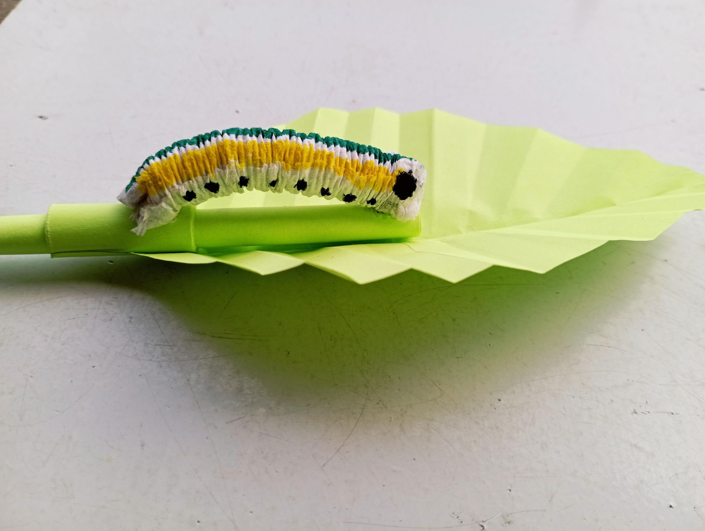 Super Simple DIY Fun Paper Wriggling Caterpillar. : 10 Steps (with ...