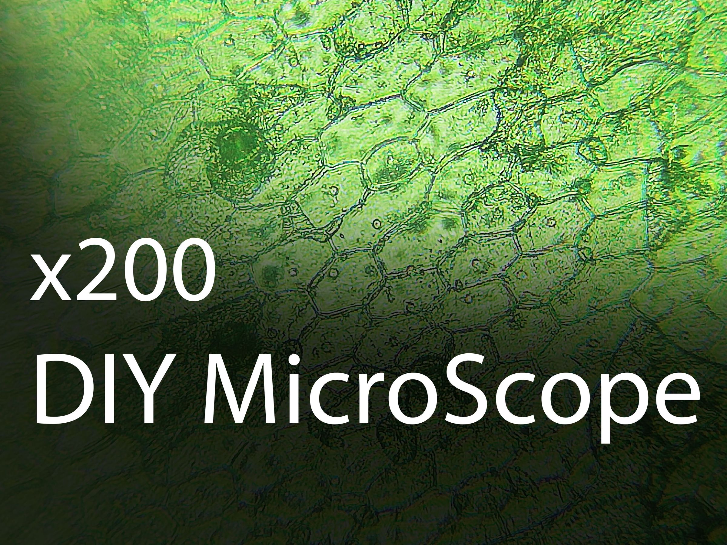 DIY X200 Microscope : 13 Steps (with Pictures) - Instructables