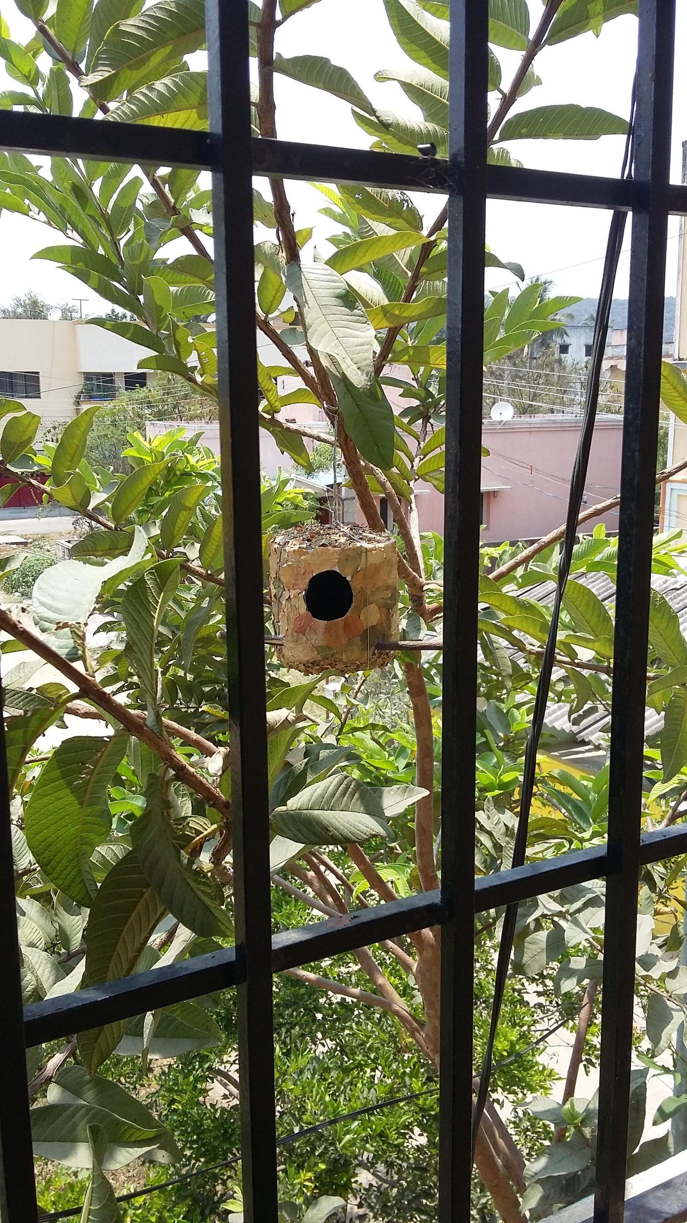 Cardboard Birds Nest Box : 12 Steps (with Pictures) - Instructables