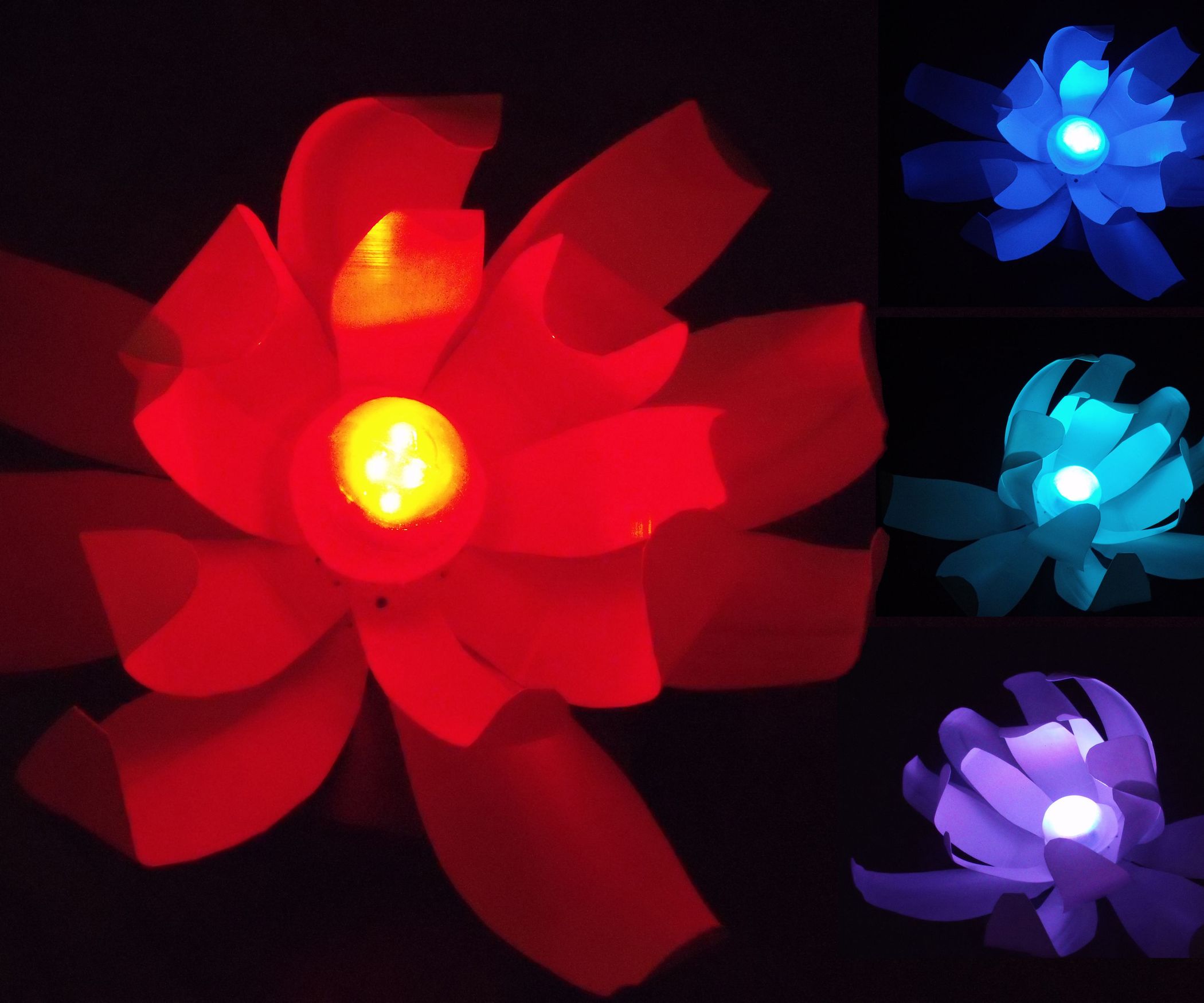 Rainbow Daisy : 5 Steps (with Pictures) - Instructables