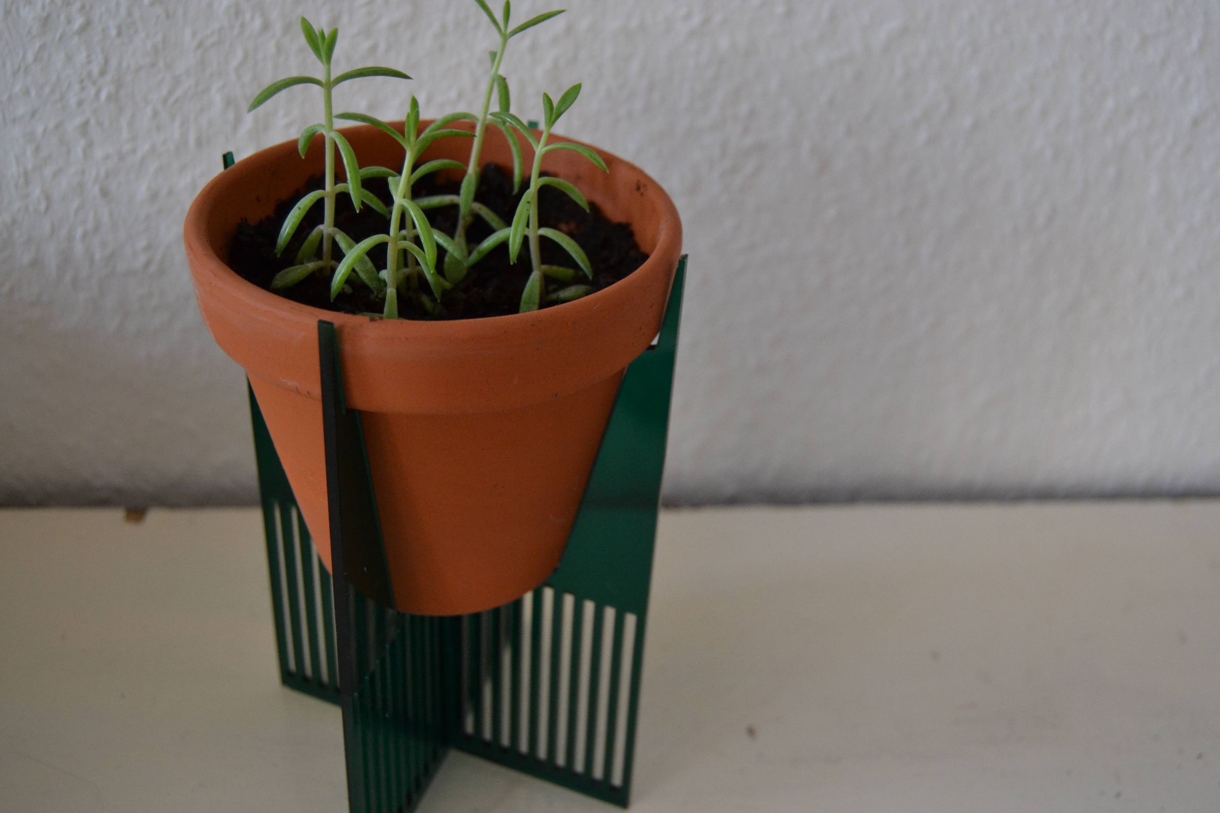 Laser Cut Planters : 7 Steps (with Pictures) - Instructables