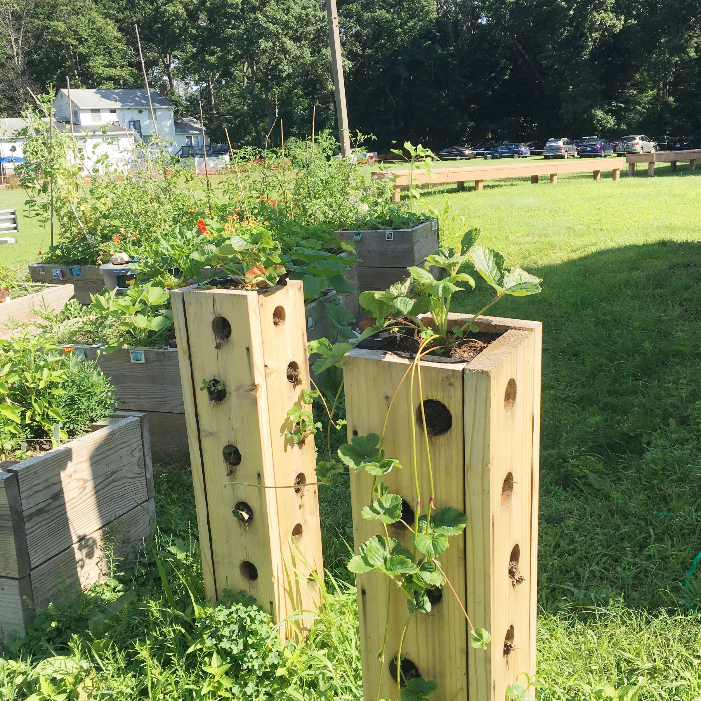 Tech & Engineering Class: Strawberry Towers : 8 Steps (with Pictures ...