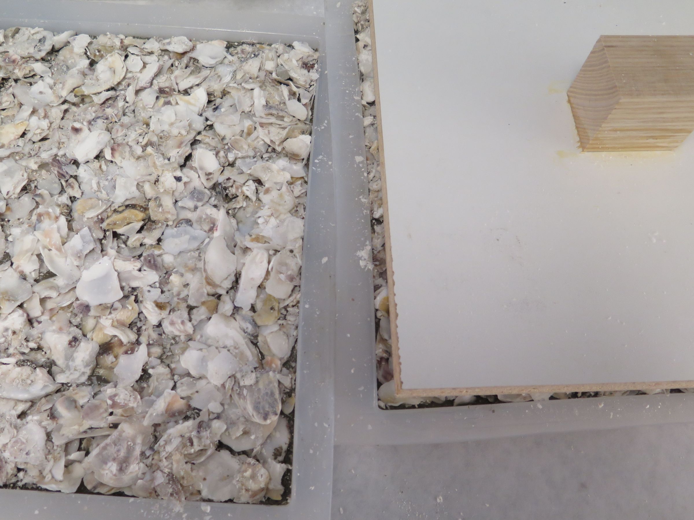 Oyster Shell Tiles : 9 Steps (with Pictures) - Instructables