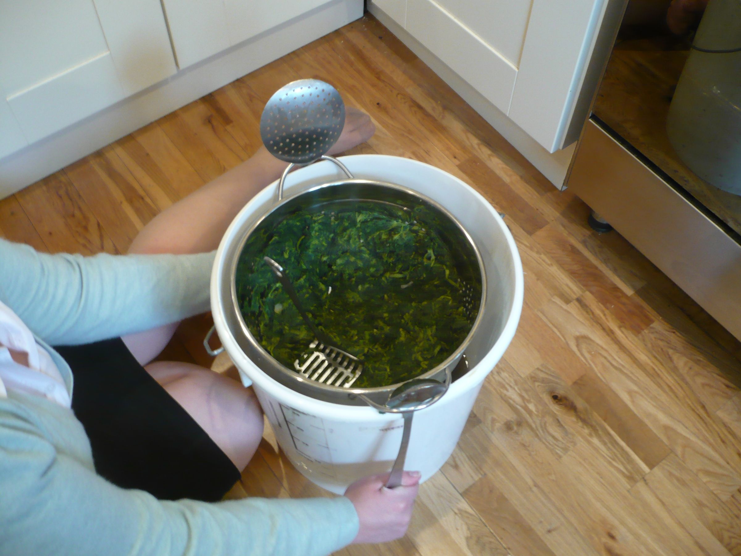British - Stinging Nettle Beer : 8 Steps (with Pictures) - Instructables