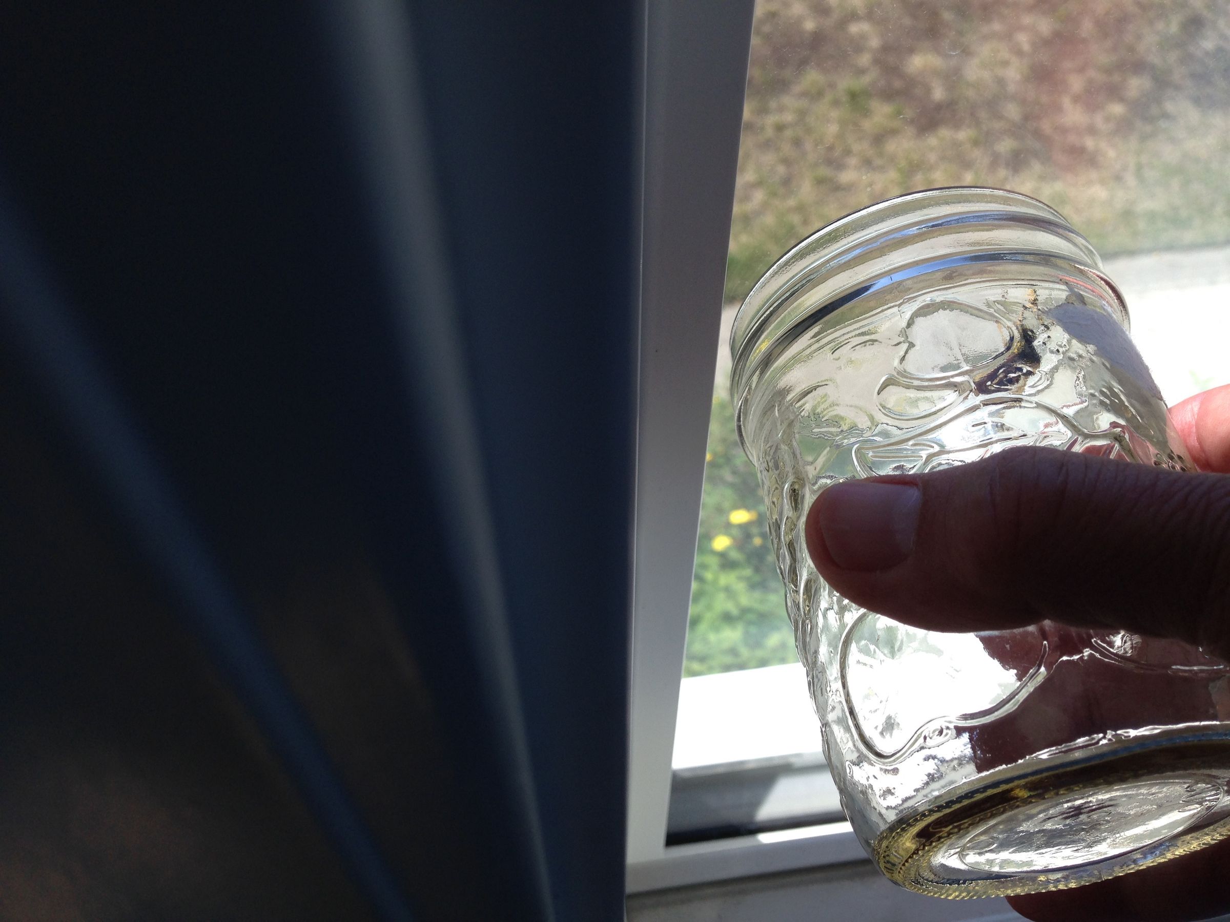 Catch and Release Insects : 5 Steps (with Pictures) - Instructables