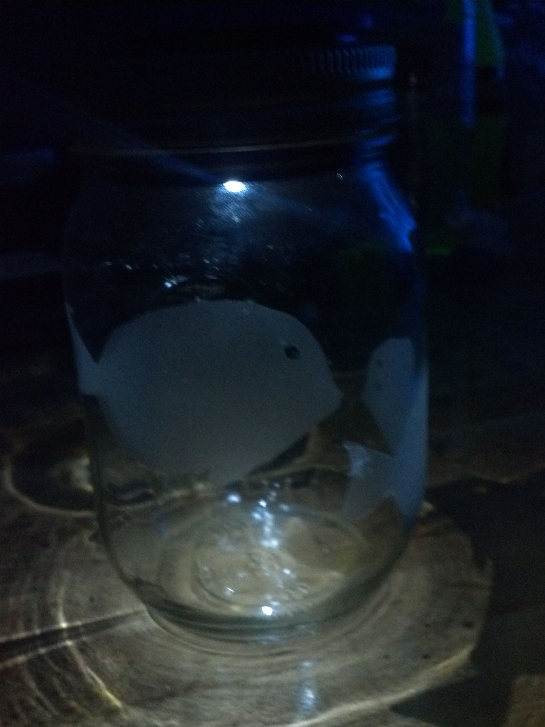 DIY Sun Jar Scenes : 4 Steps - Instructables