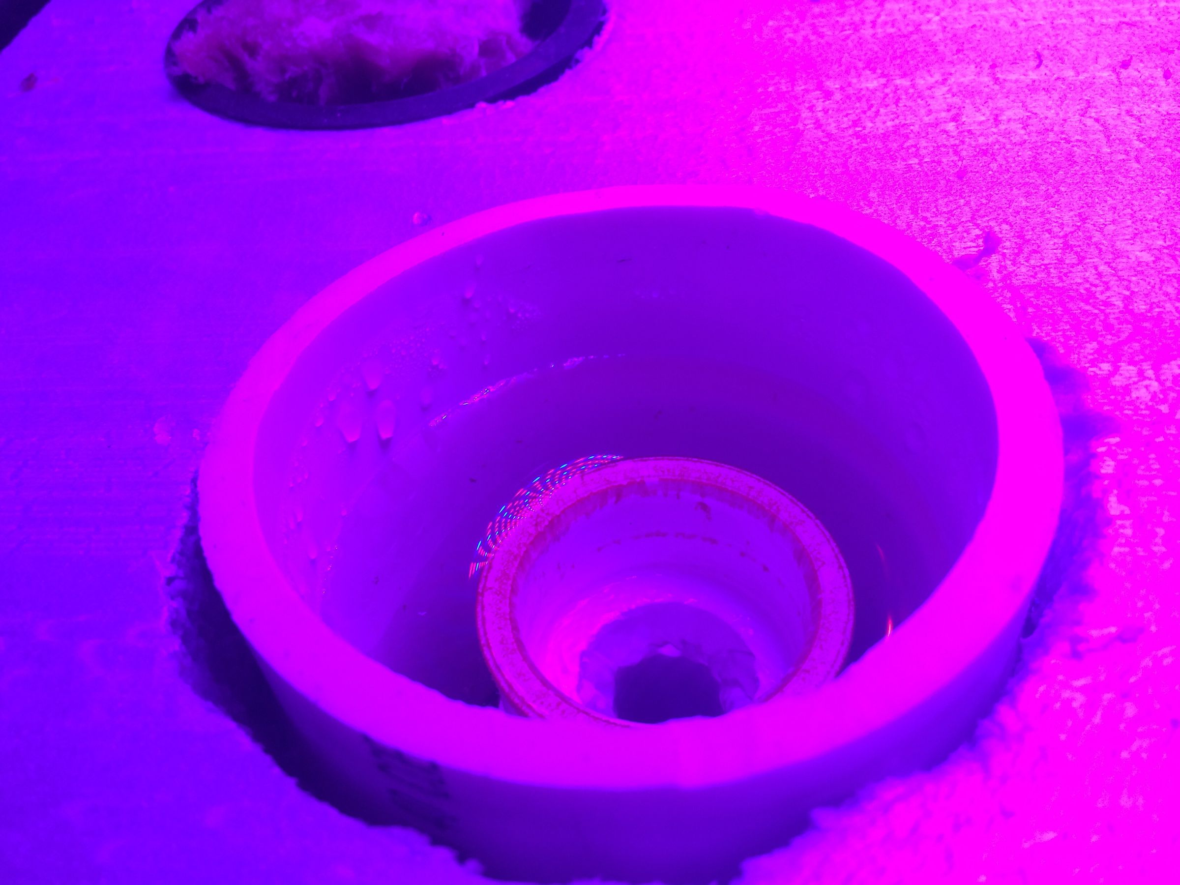 Simple Basement Aquaponic System : 5 Steps - Instructables