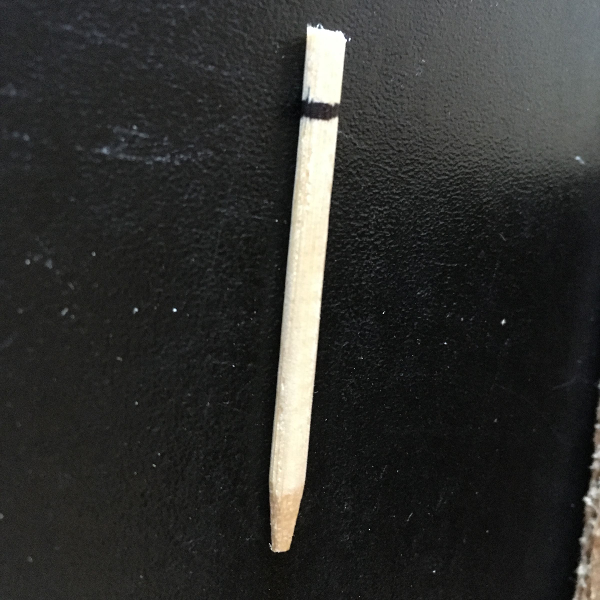 Cardboard Bird Trap : 6 Steps - Instructables