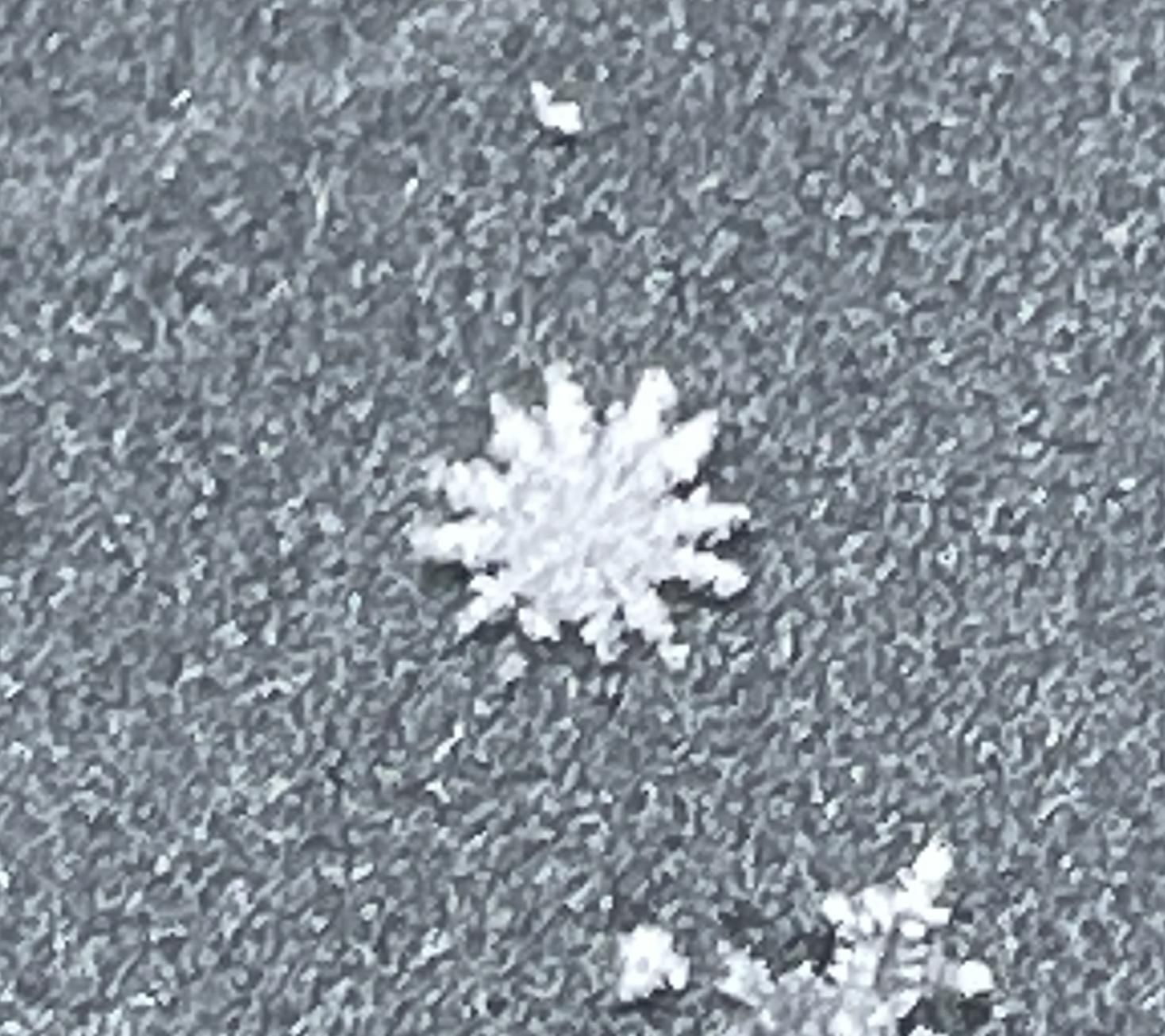 Capture Snowflakes With Photography (with Pictures) - Instructables