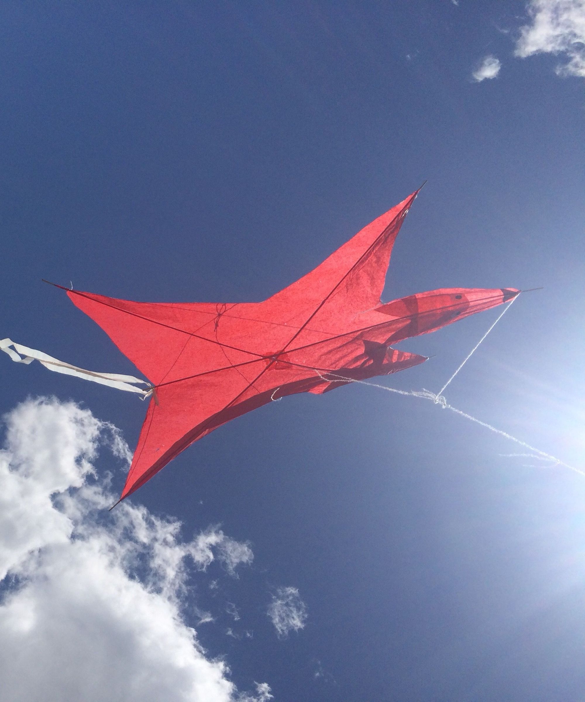 EDO FOX KITE : 9 Steps - Instructables