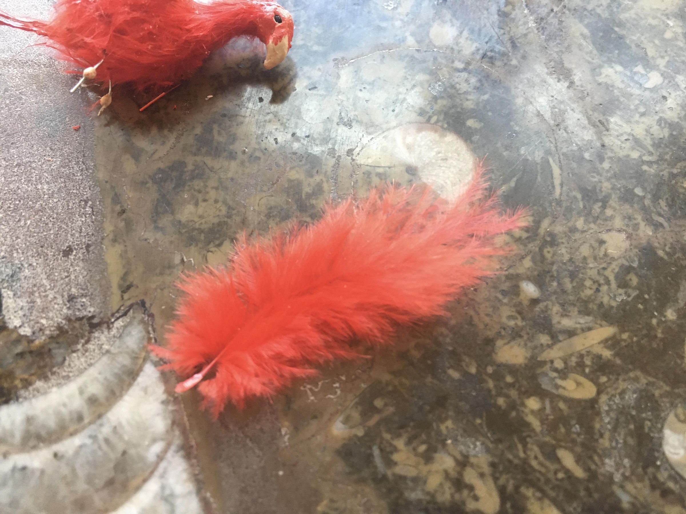 DIY Miniature Phoenix : 10 Steps (with Pictures) - Instructables