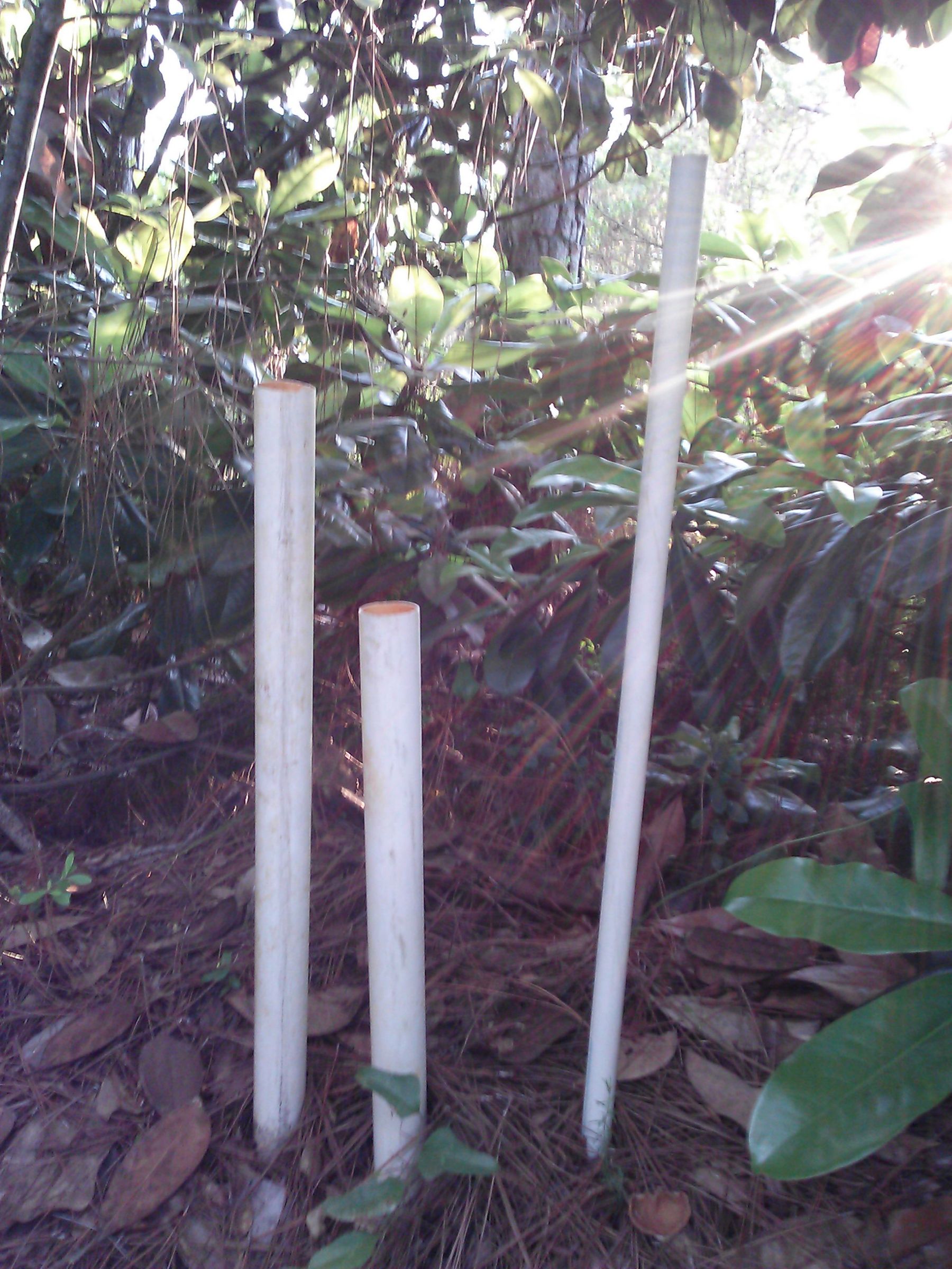Frog Tubes! - Instructables