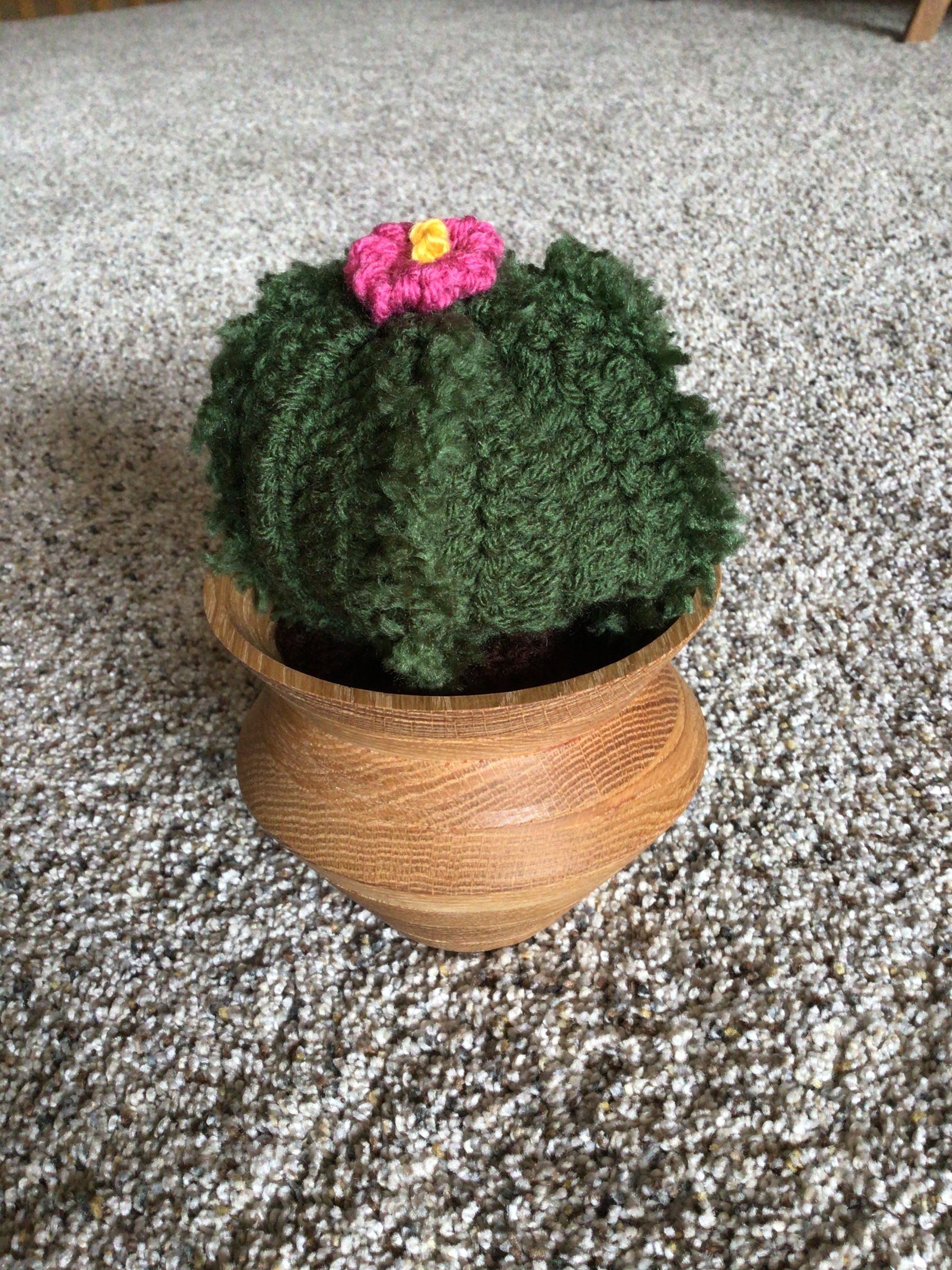 A Cuddly Cactus : 14 Steps (with Pictures) - Instructables