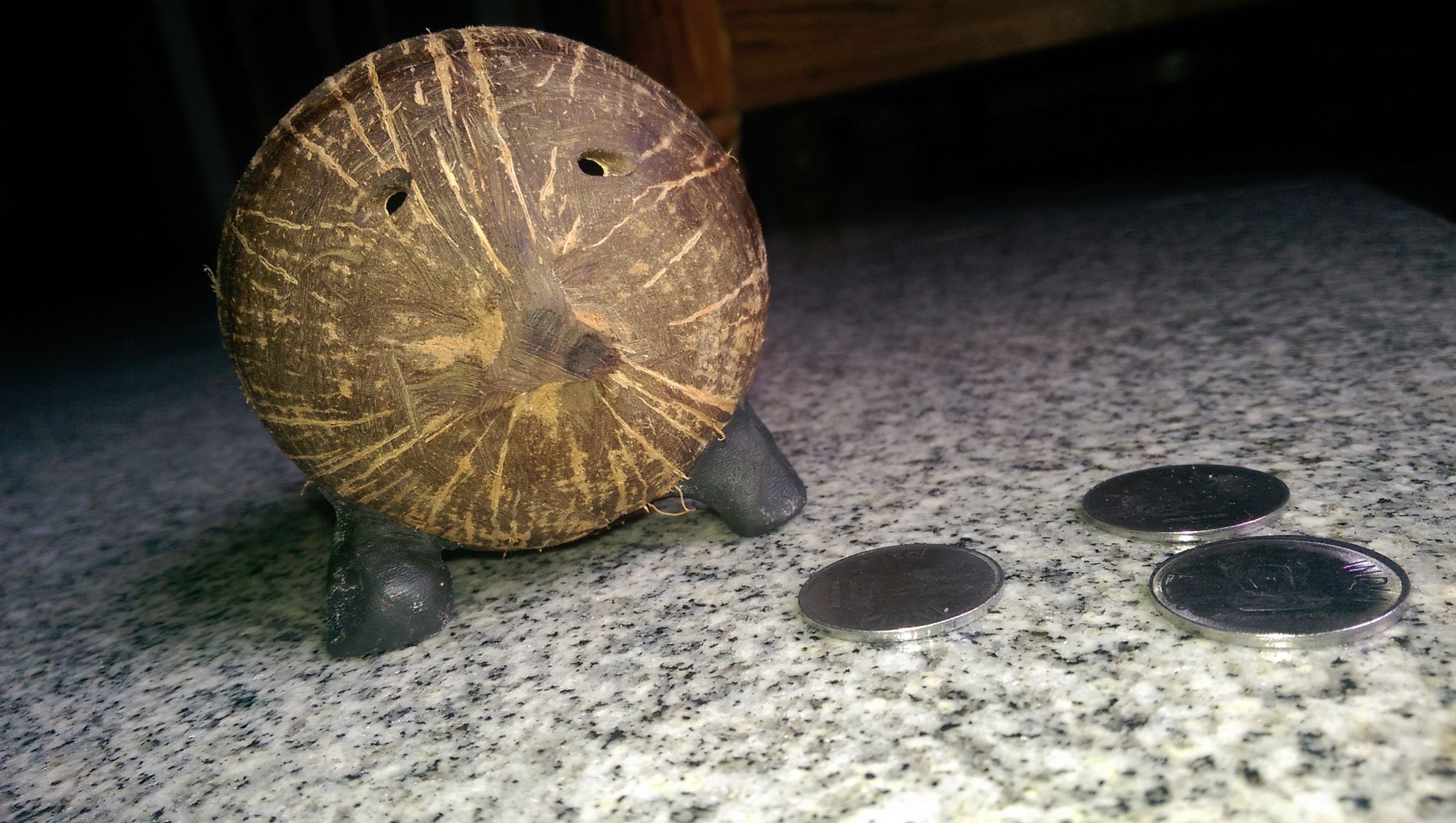 Coconut Piggy Bank : 9 Steps - Instructables