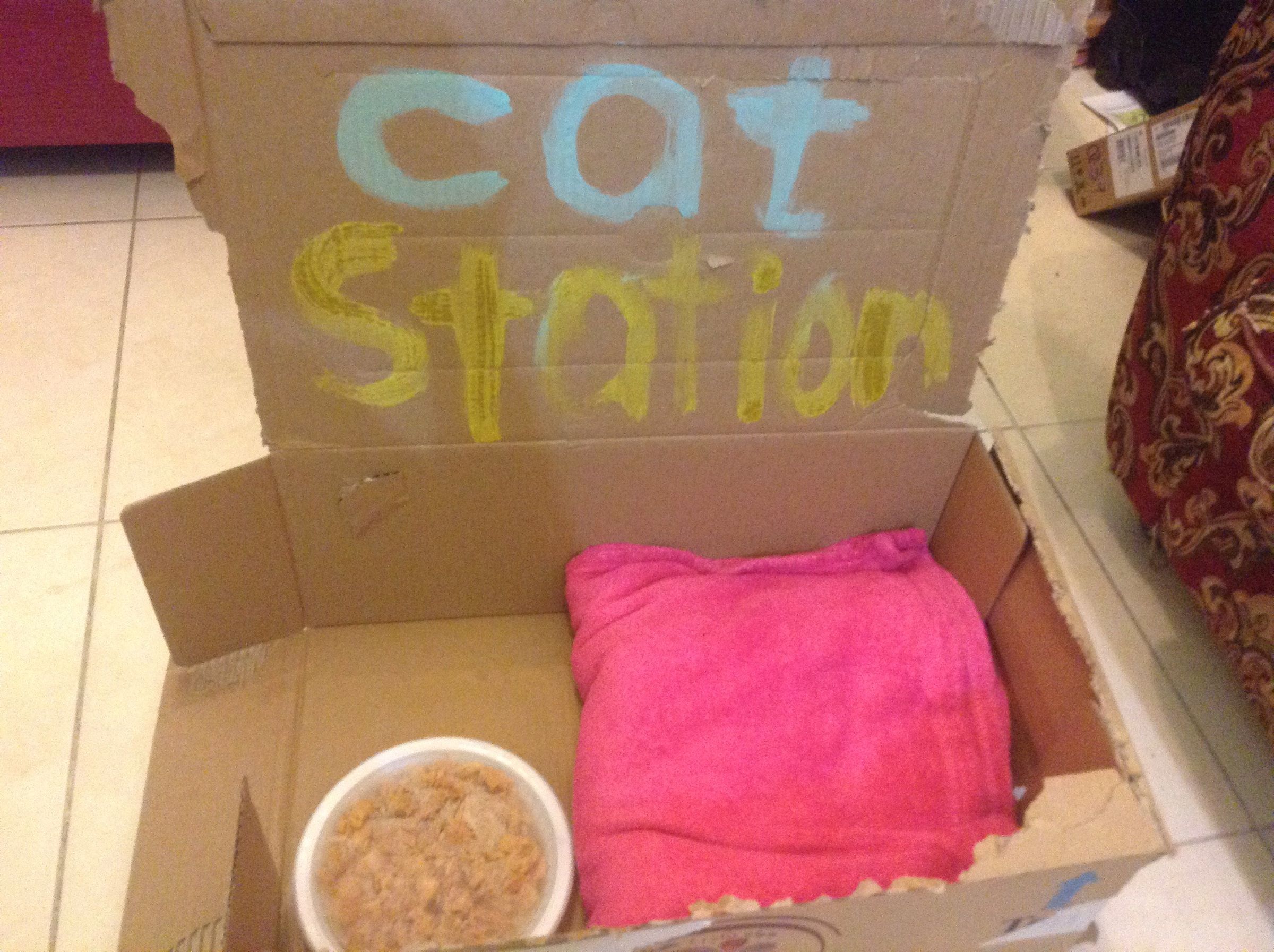 Cat Station : 4 Steps - Instructables
