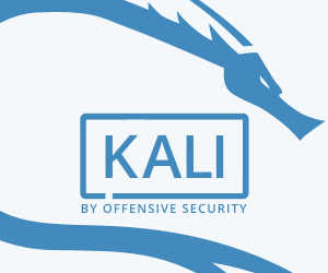 Kali Linux Beginner's Tutorial : 12 Steps - Instructables