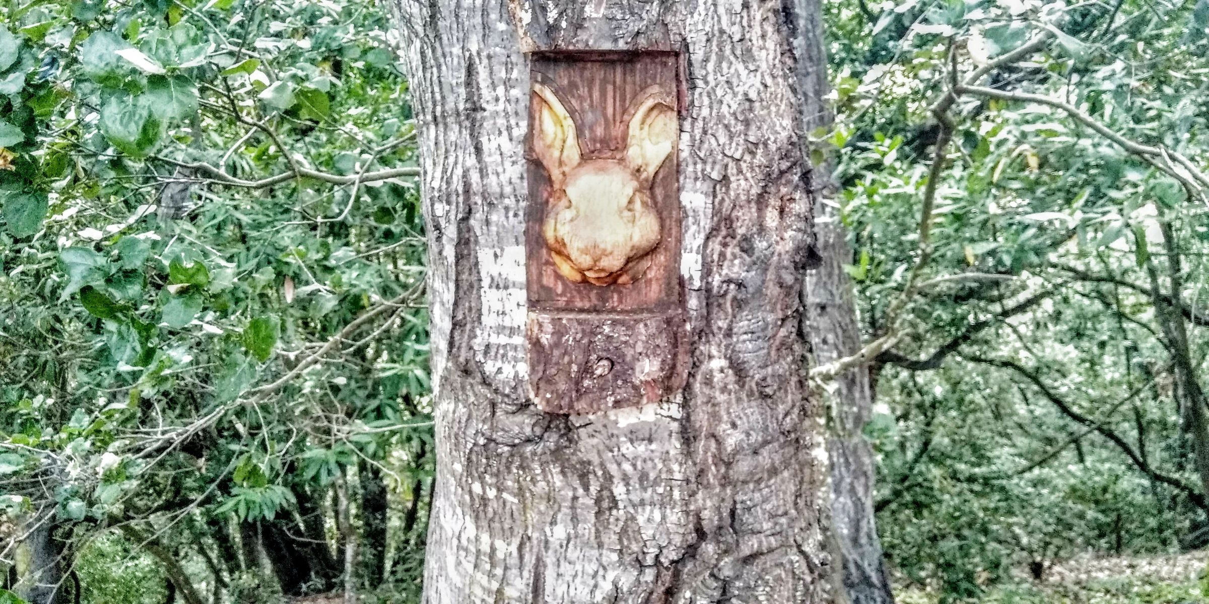 CNC Log Carving : 5 Steps (with Pictures) - Instructables