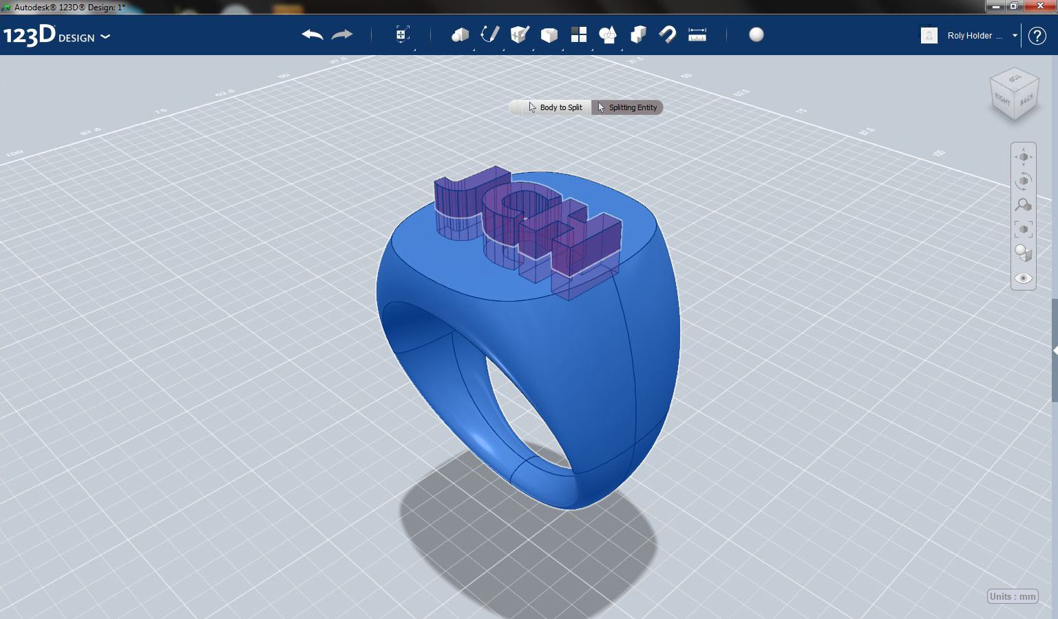 Customizable 3D Printed Ring Designs : 15 Steps (with Pictures ...