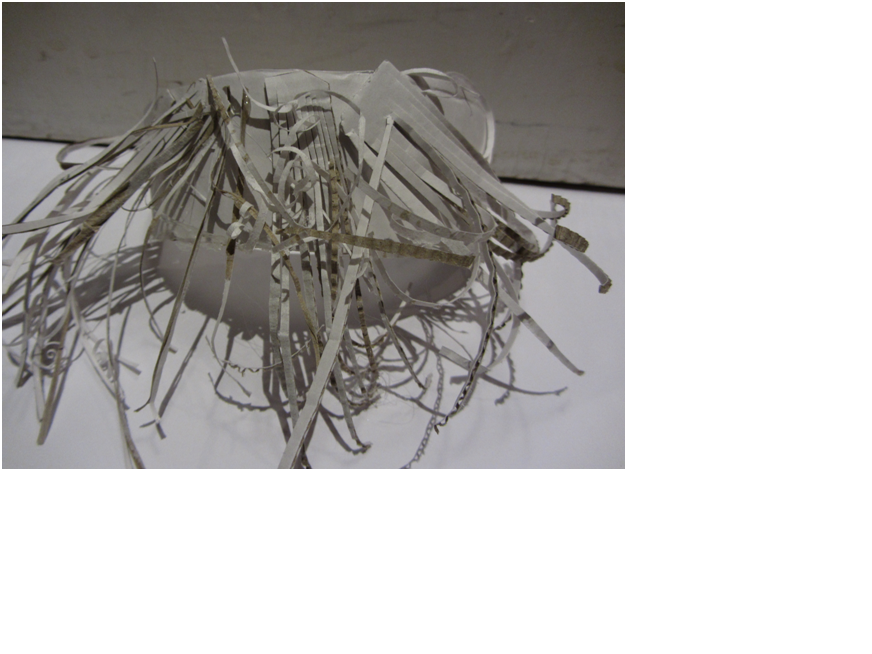 Make a Life-size Cardboard 3D Self Portrait : 7 Steps - Instructables