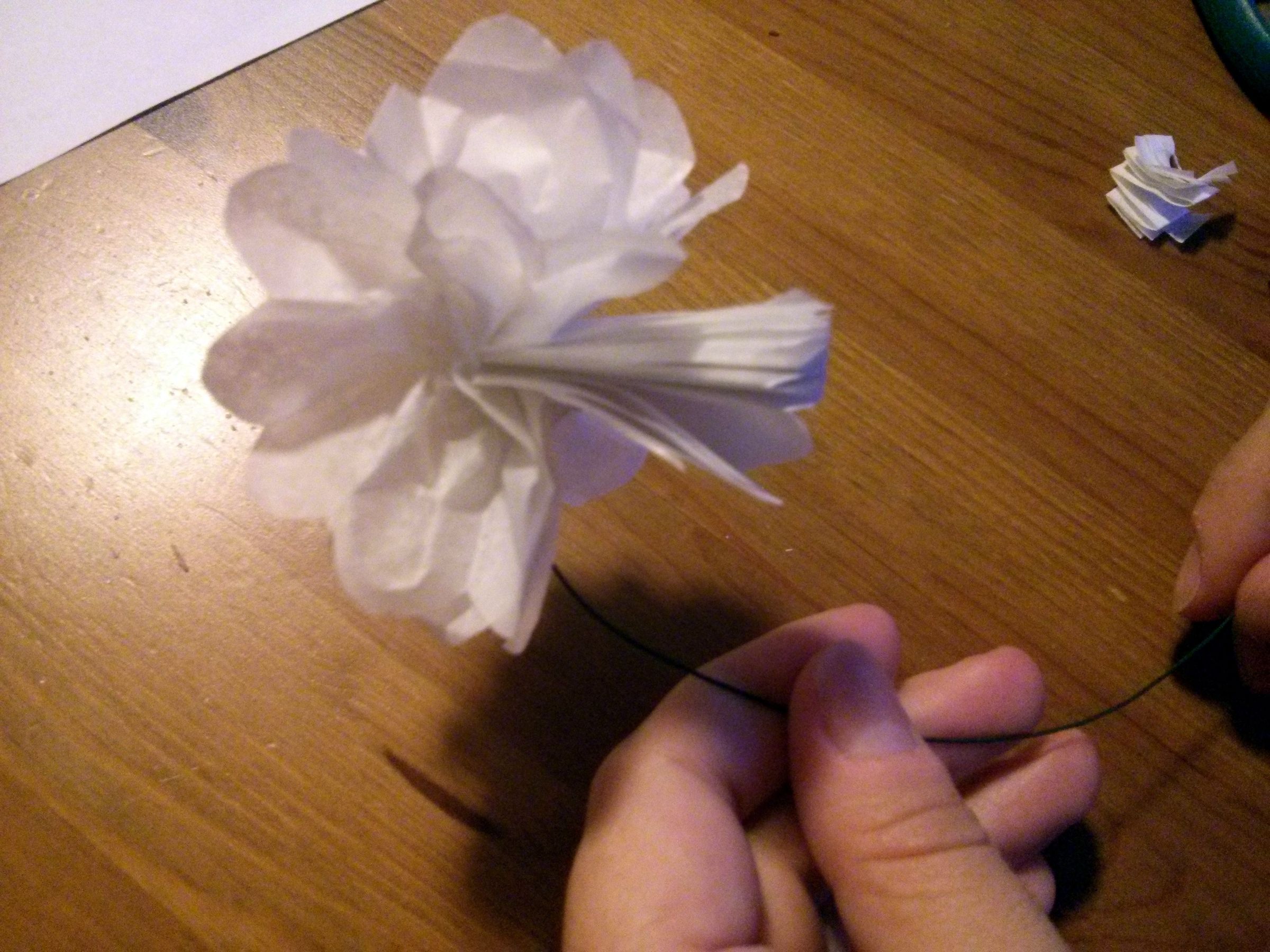 Tissue Paper Peonies : 10 Steps - Instructables