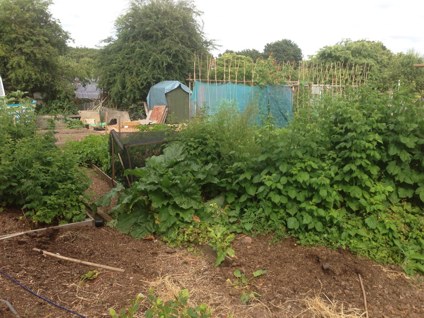 Scrap Wood to Shed Complex : 6 Steps (with Pictures) - Instructables