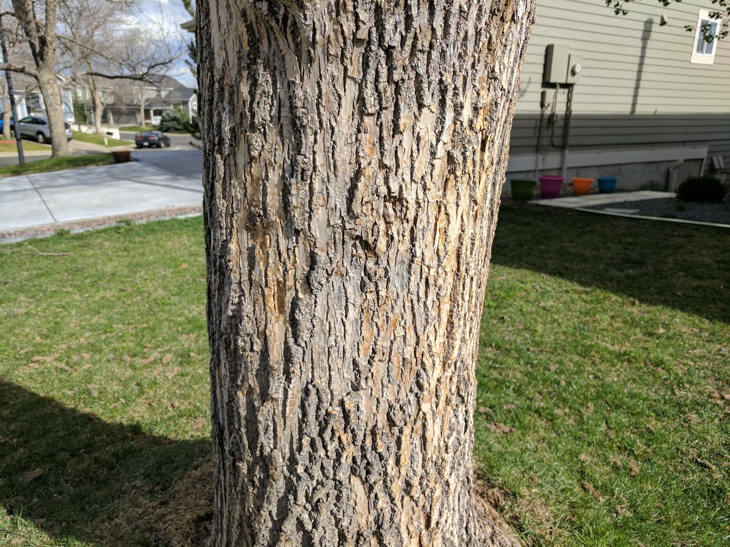 Landscape Garden Border Edge Fence : 4 Steps (with Pictures ...