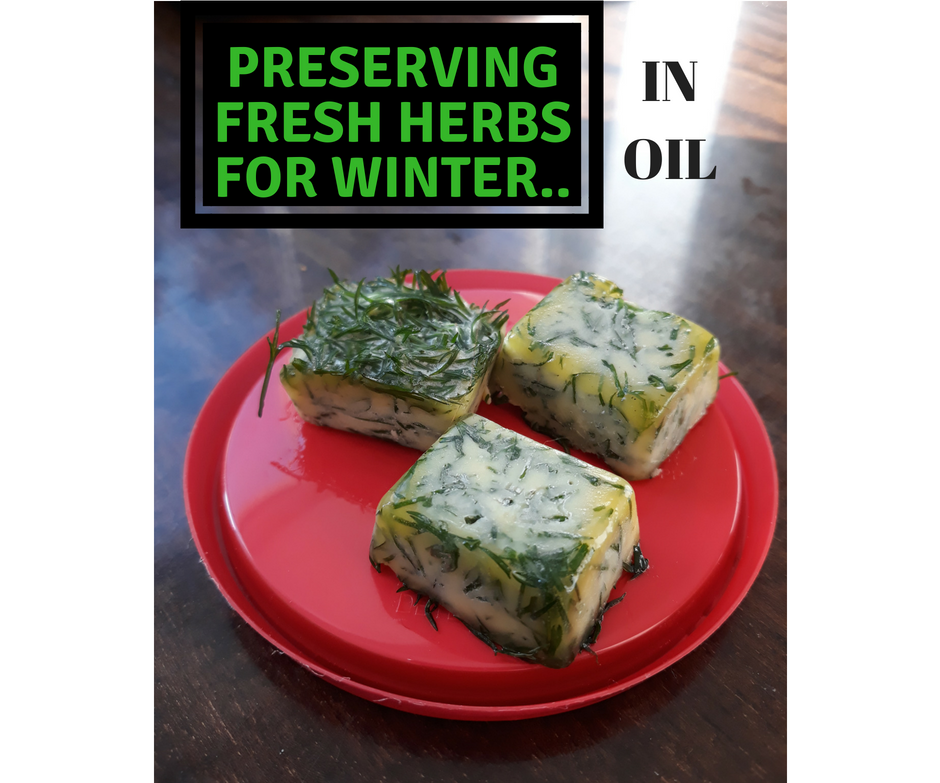 Fresh Herb Oil Cubes for Winter : 7 Steps (with Pictures) - Instructables