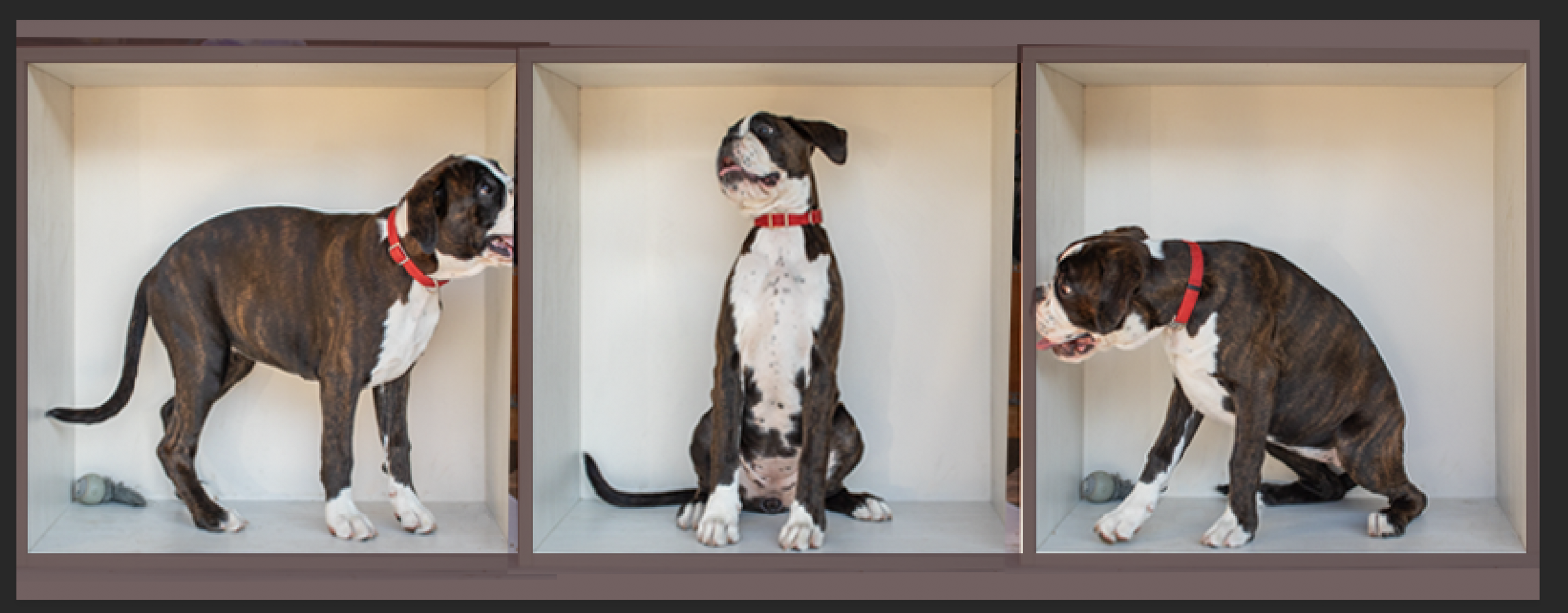 In the Box Photography : 10 Steps (with Pictures) - Instructables