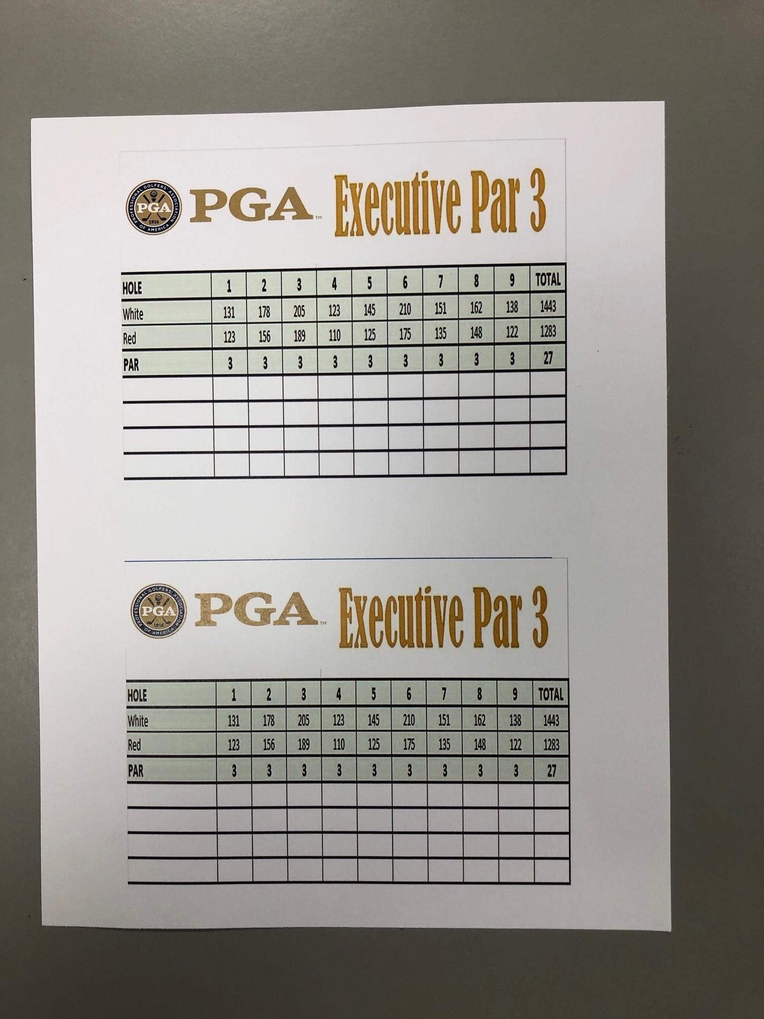 Executive Par 3 Golf Game : 12 Steps (with Pictures) - Instructables
