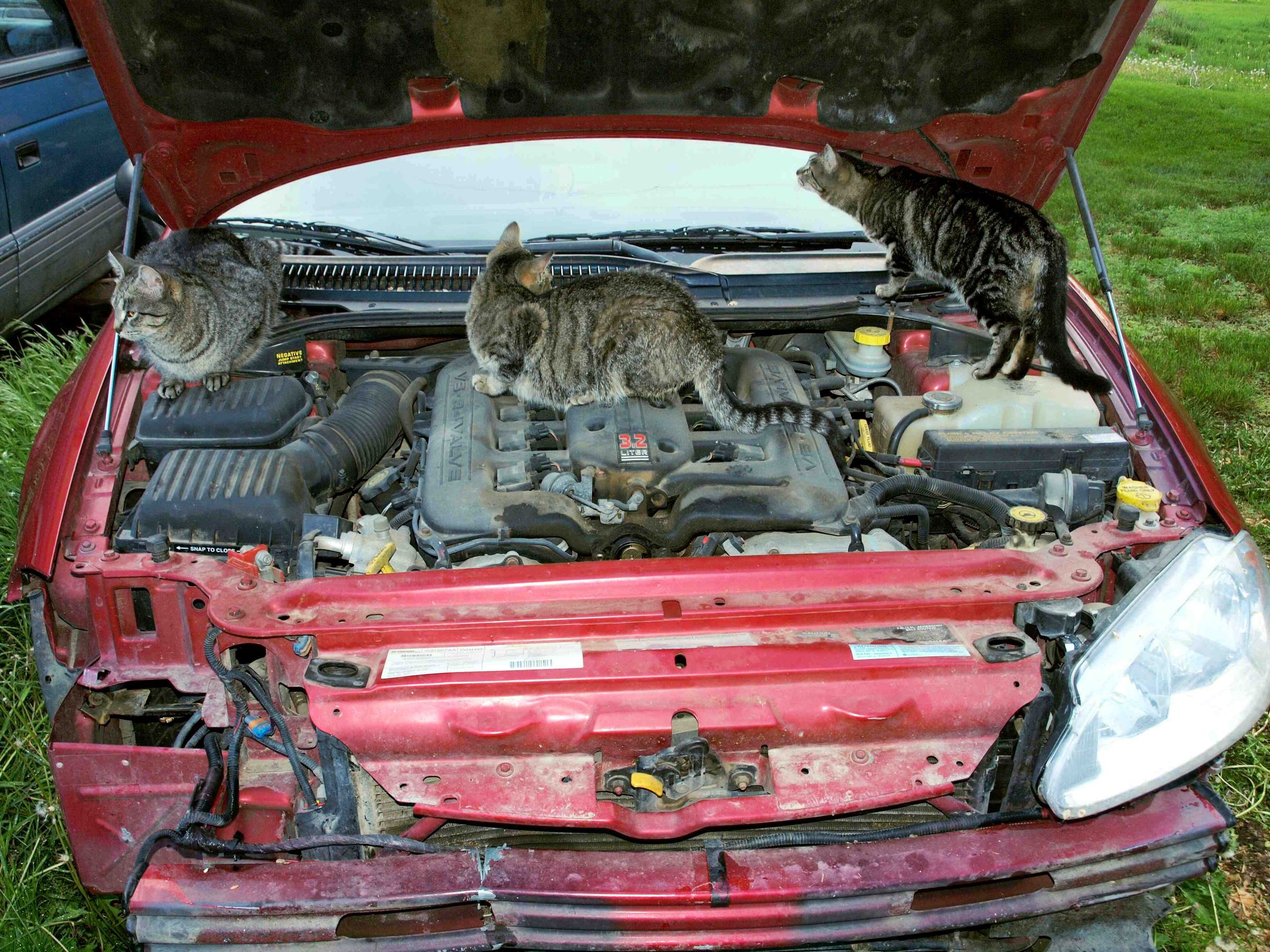 How to Fix a Totaled Car for a Fraction of the "Estimate". : 17 Steps ...