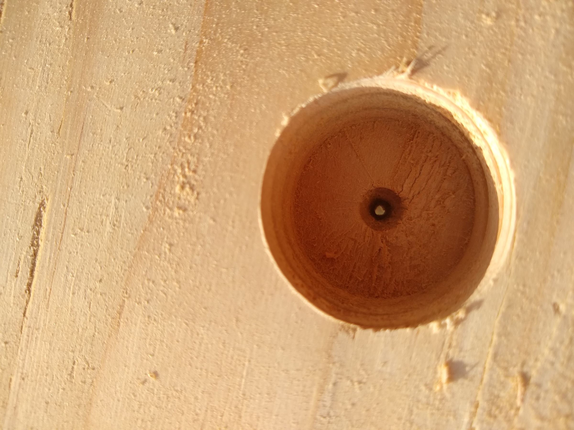 Swedish Ladder : 7 Steps (with Pictures) - Instructables