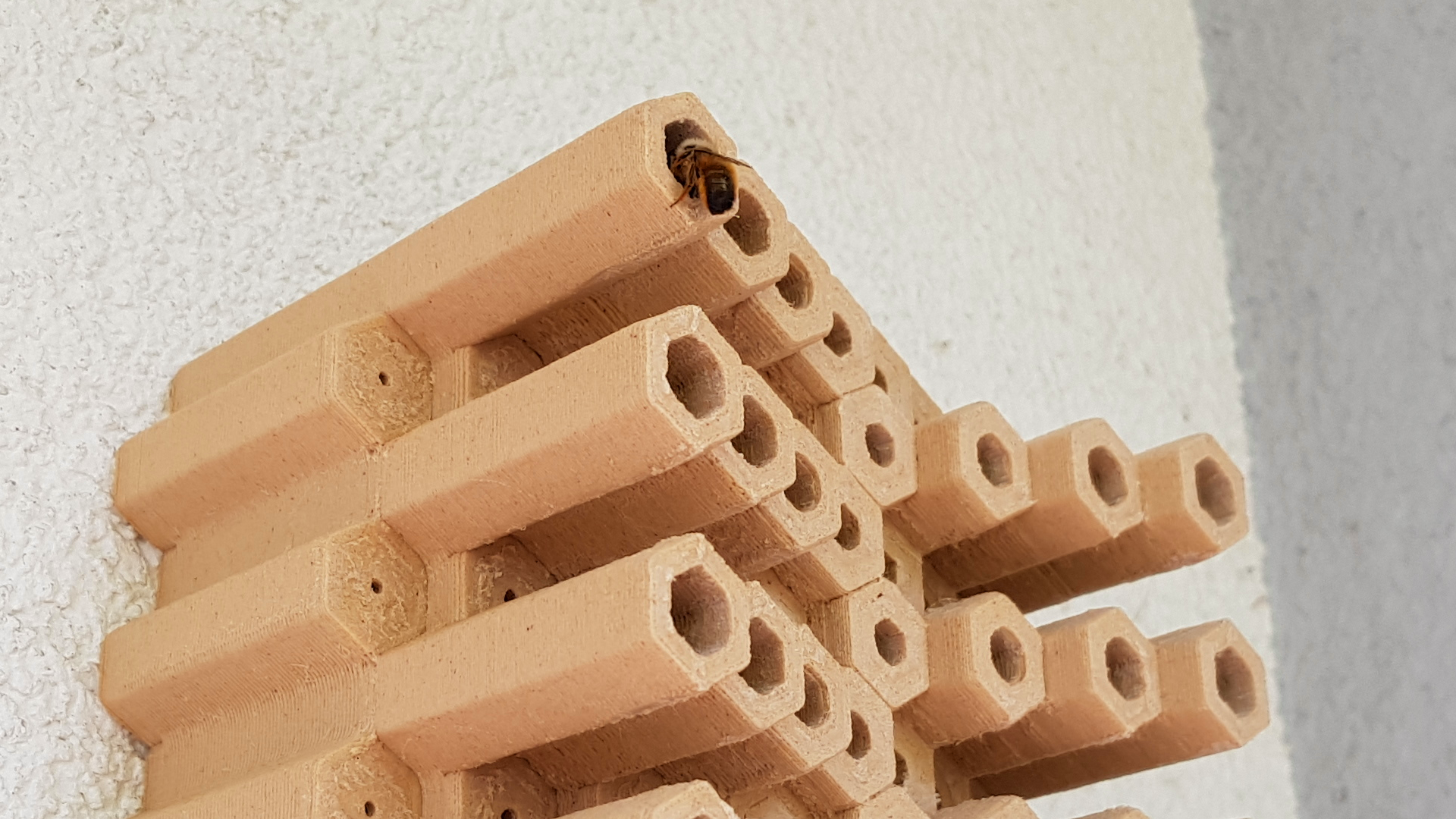 Hexagon Insect Hotel : 6 Steps - Instructables