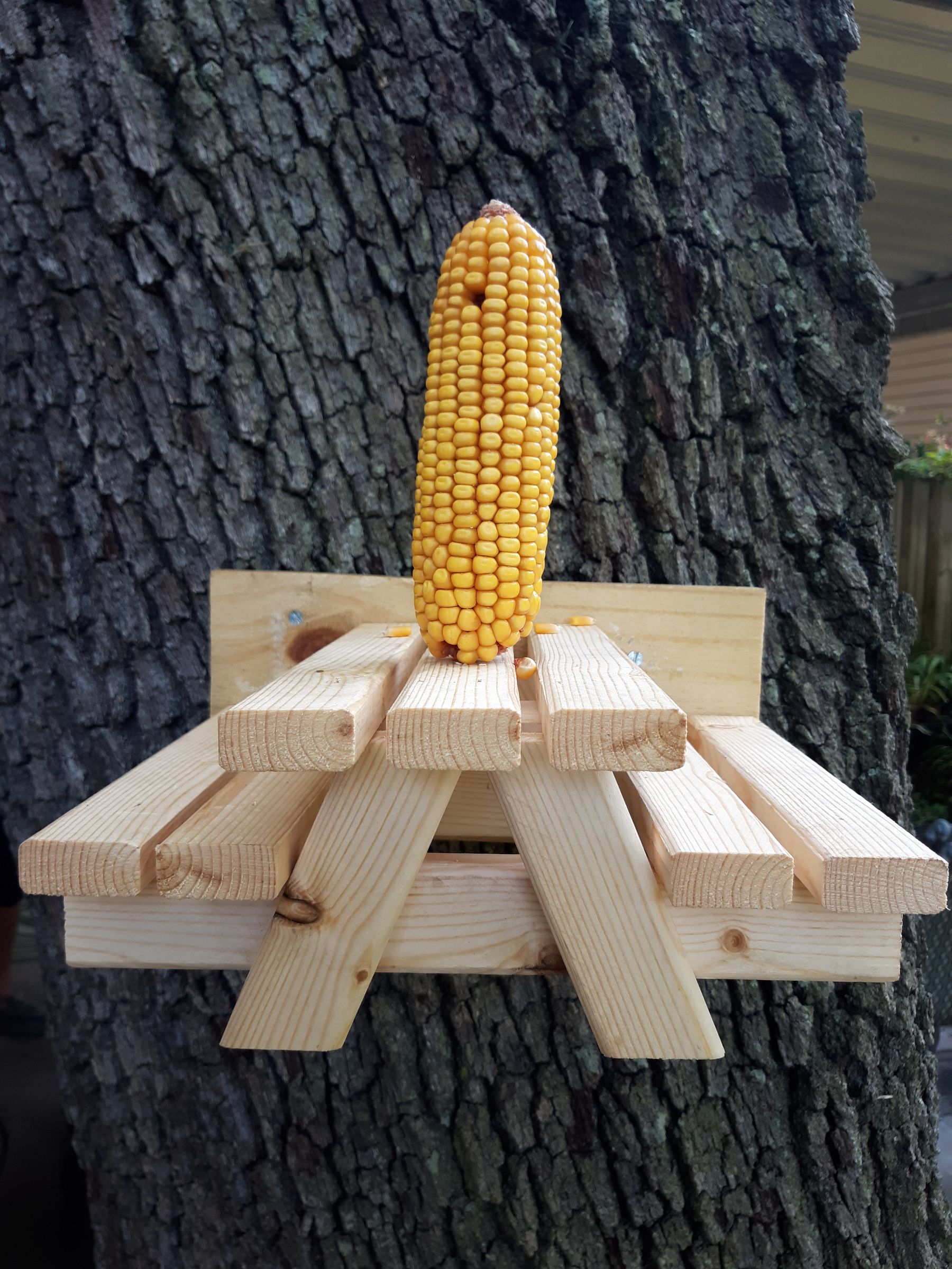 Squirrel (or Bird) Picnic Table Feeder (under $5.00) SUPPLIES : 6 Steps ...
