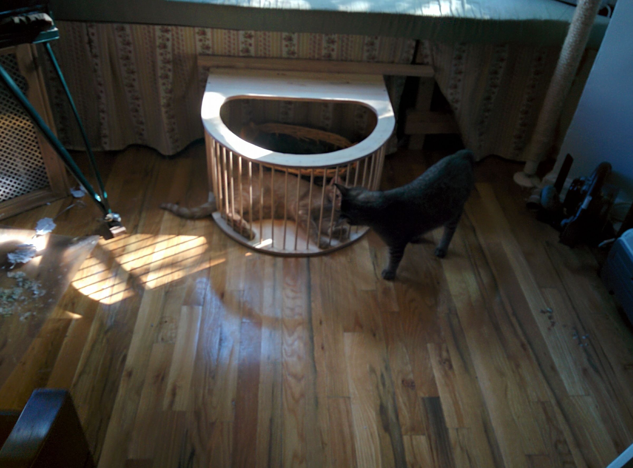 Window Catio (Cat Patio) : 12 Steps (with Pictures) - Instructables