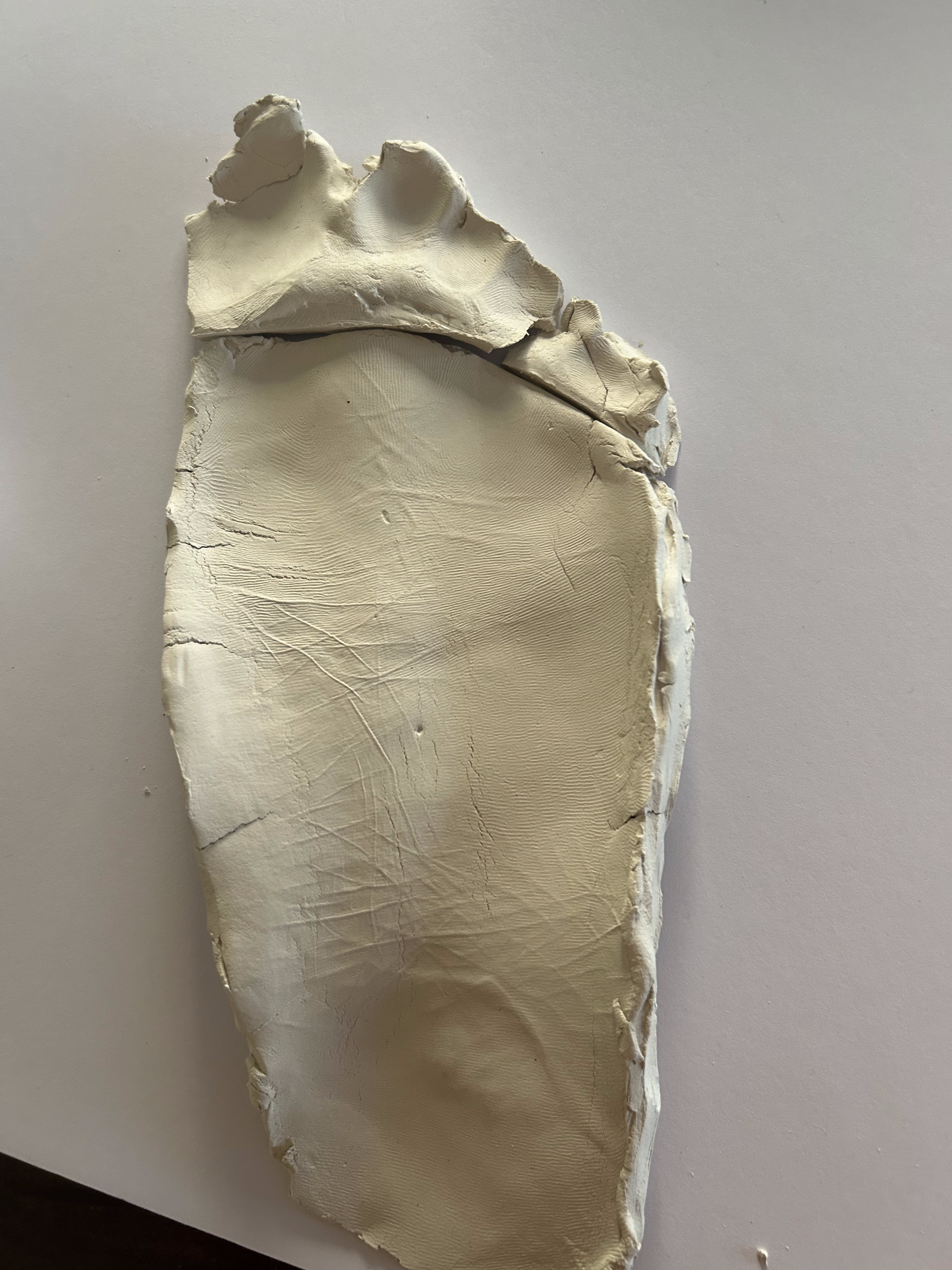 How to Make a Custom Shoe Insole With 3D Printing : 4 Steps - Instructables