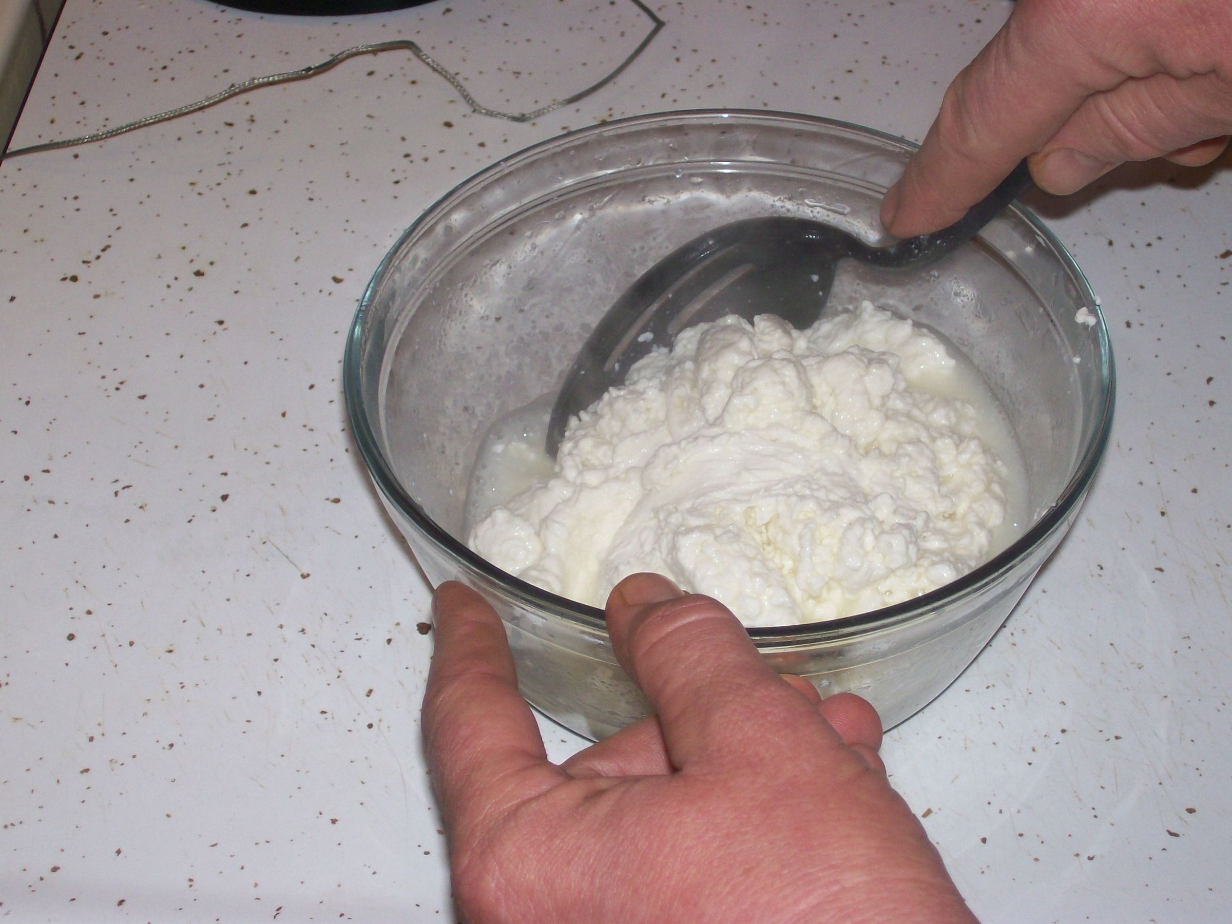 How to Make Great Fresh Mozzarella Cheese : 19 Steps (with Pictures ...