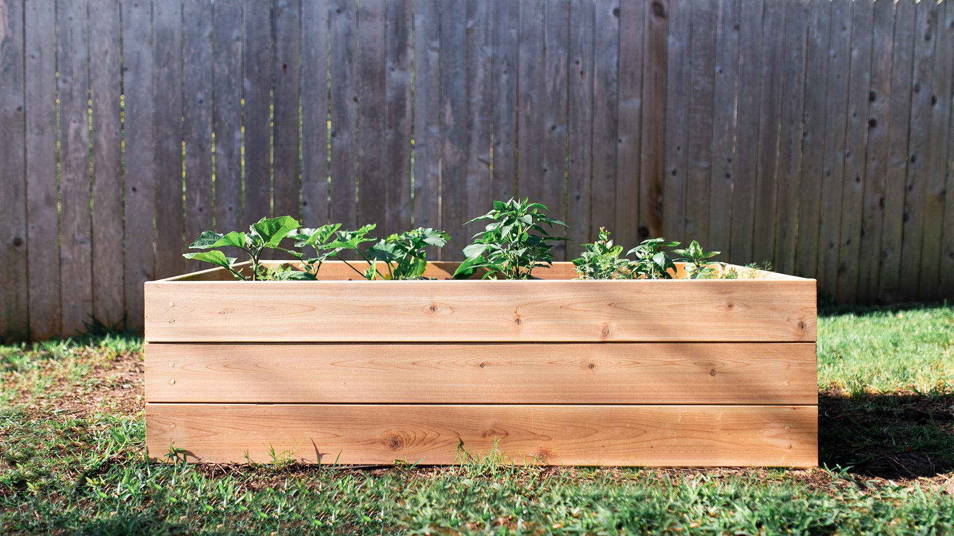 How to Build a Raised Garden Bed : 9 Steps (with Pictures) - Instructables