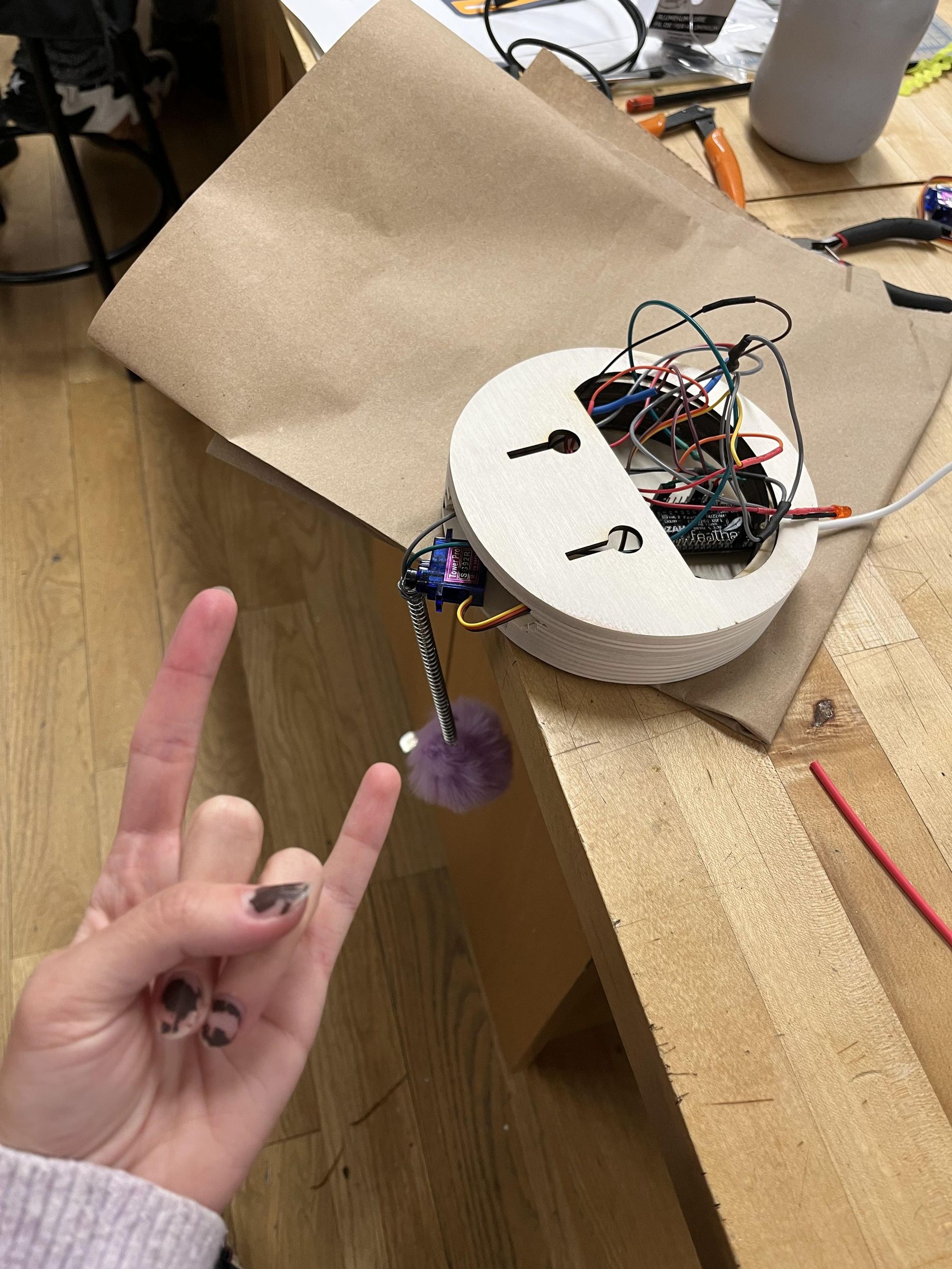 IoT Cat Toy : 4 Steps - Instructables