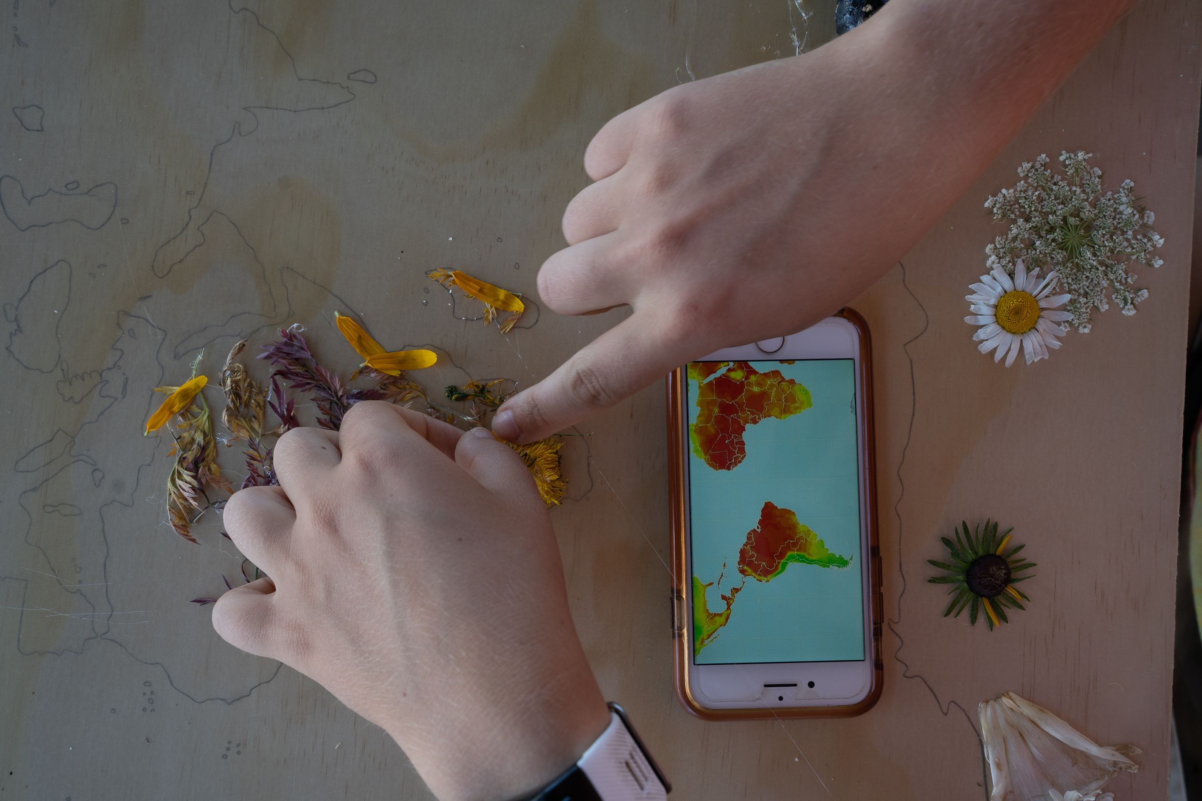 Creating a Map With Flowers + Constructing Your Own Artistic Style : 5 ...
