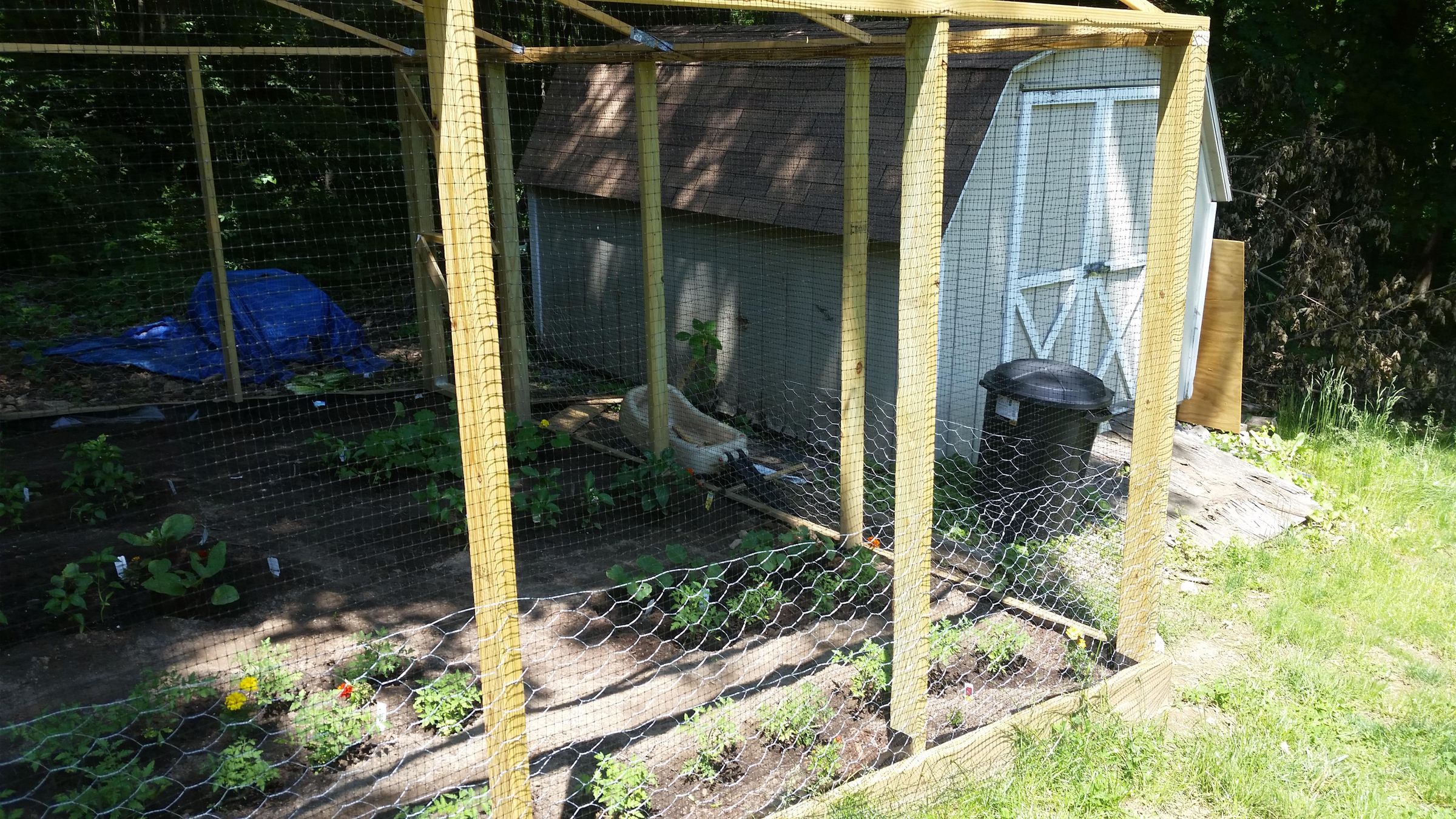 Protected Garden Enclosure : 8 Steps (with Pictures) - Instructables
