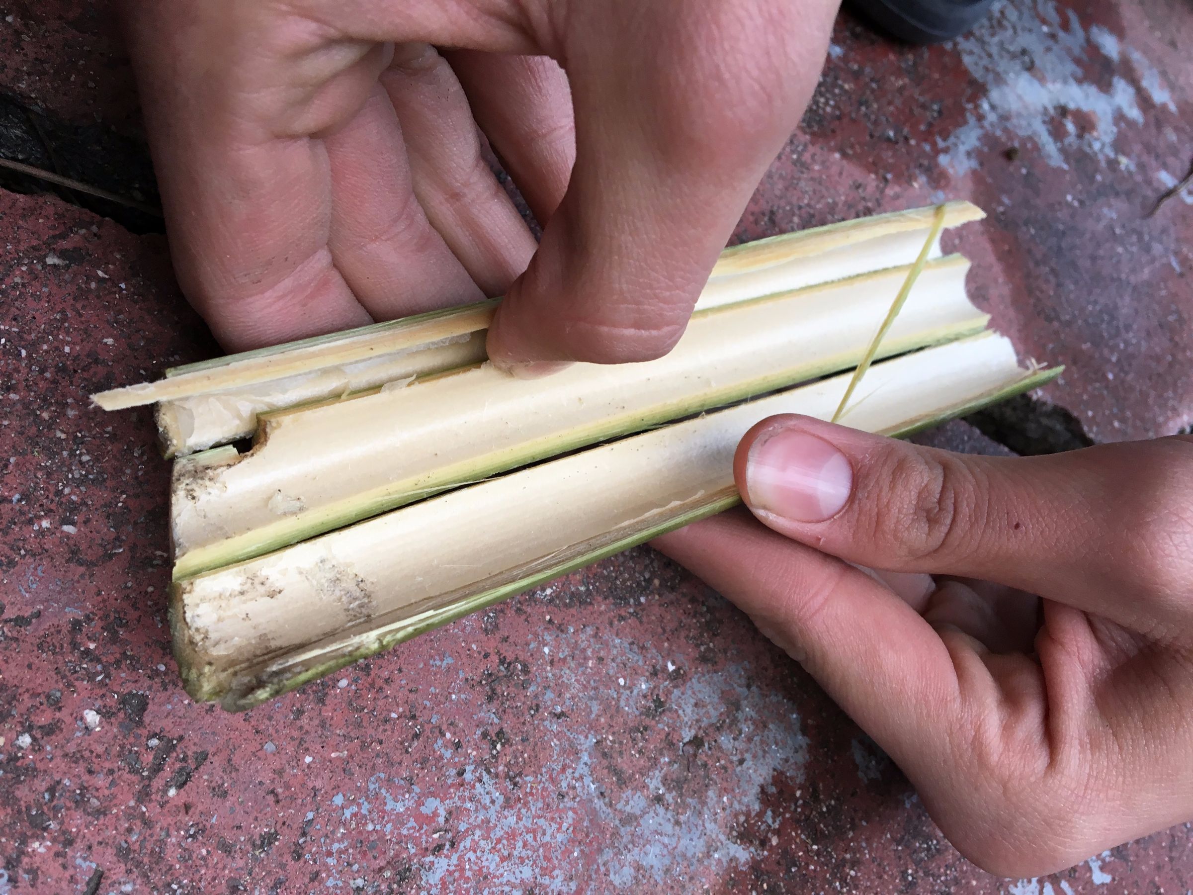 Bamboo Survival Kit : 6 Steps - Instructables