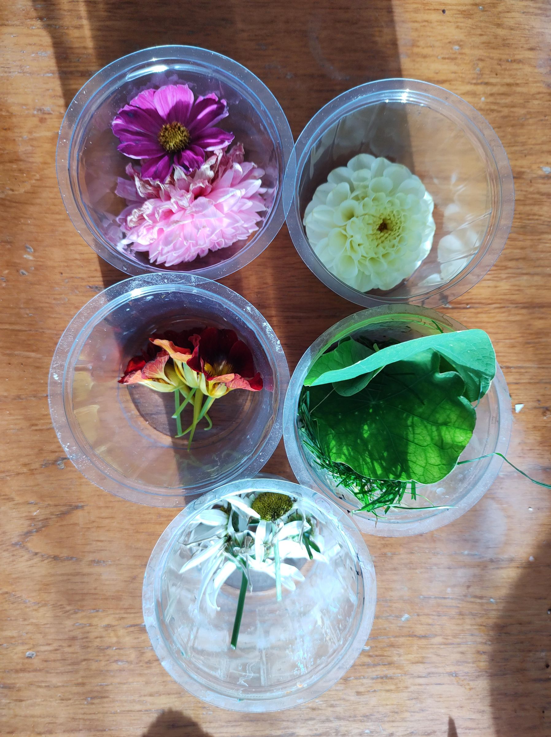 Natural Painting : 7 Steps - Instructables