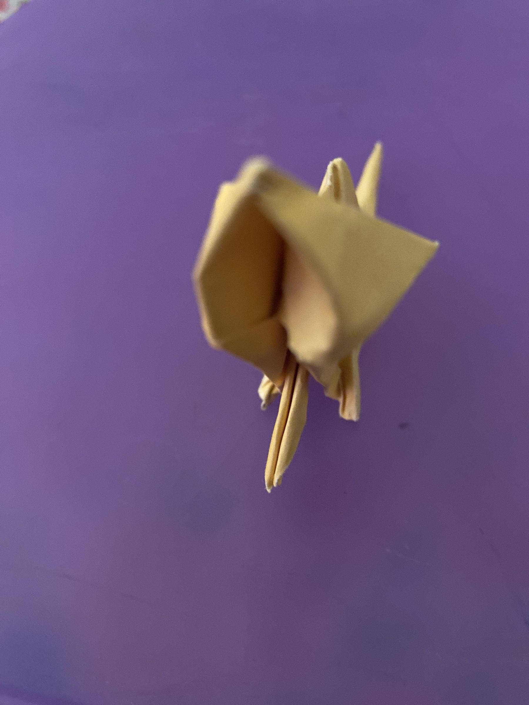 Origami Rat : 27 Steps - Instructables