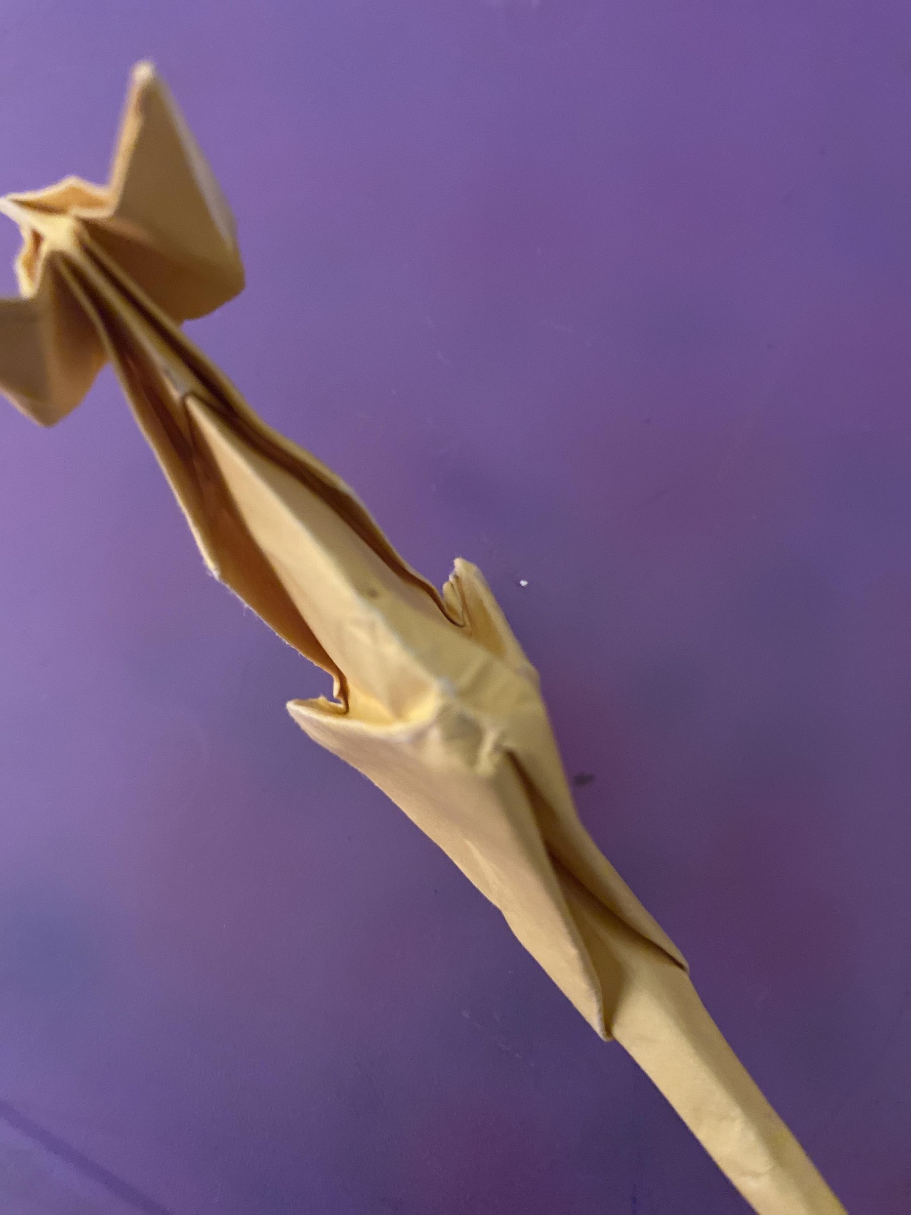 Origami Rat : 27 Steps - Instructables