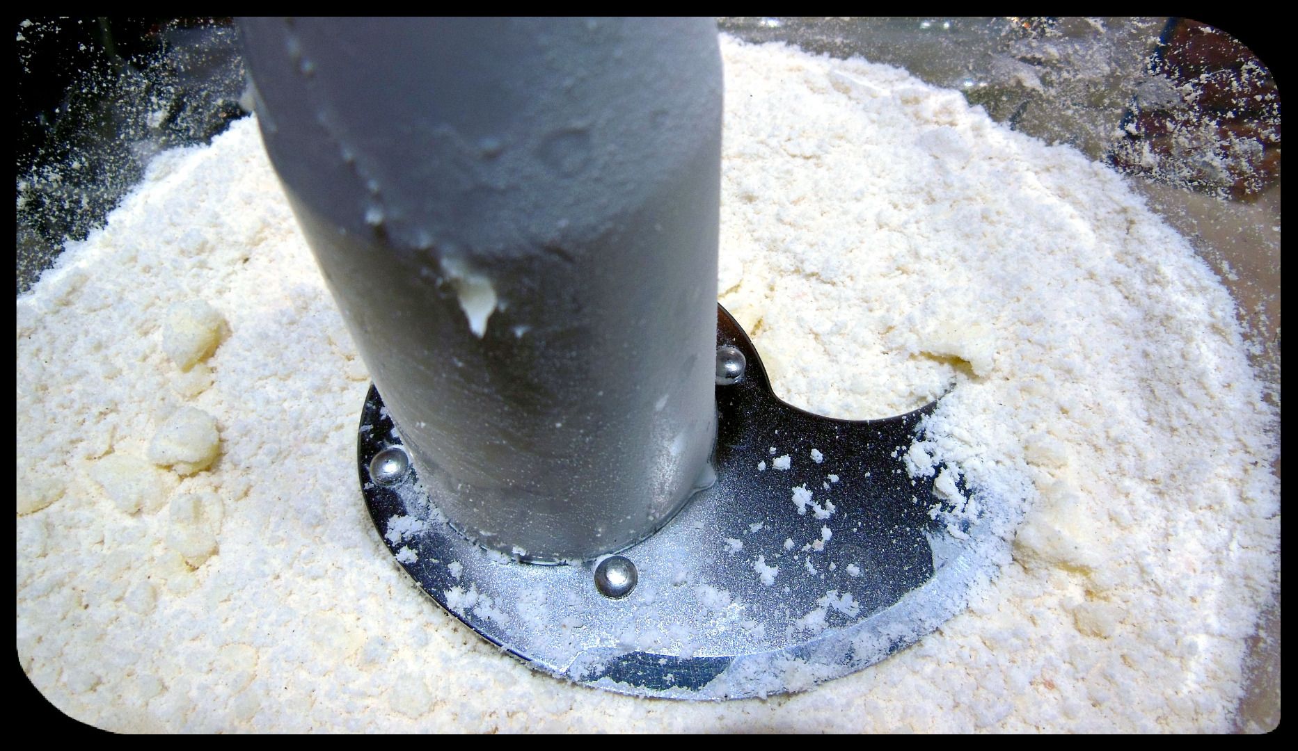 Cheese Snack Snakes - That Bite Back : 7 Steps (with Pictures ...