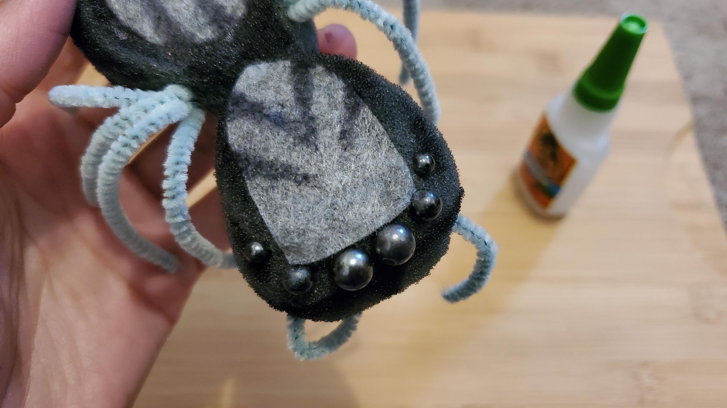 Jumping Spider : 9 Steps (with Pictures) - Instructables