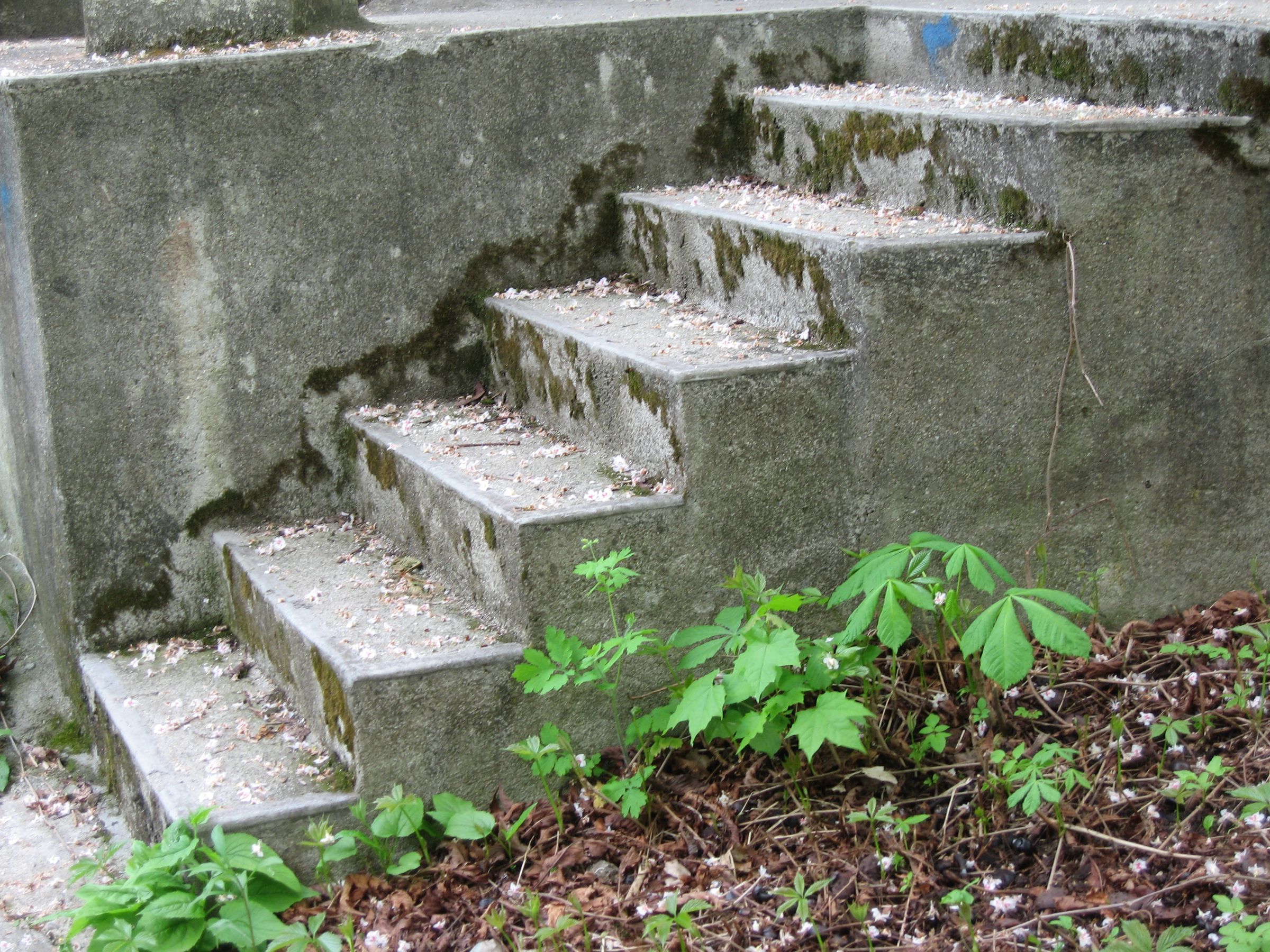 Warmachine Gaming Table for Penny Arcade : 23 Steps (with Pictures ...