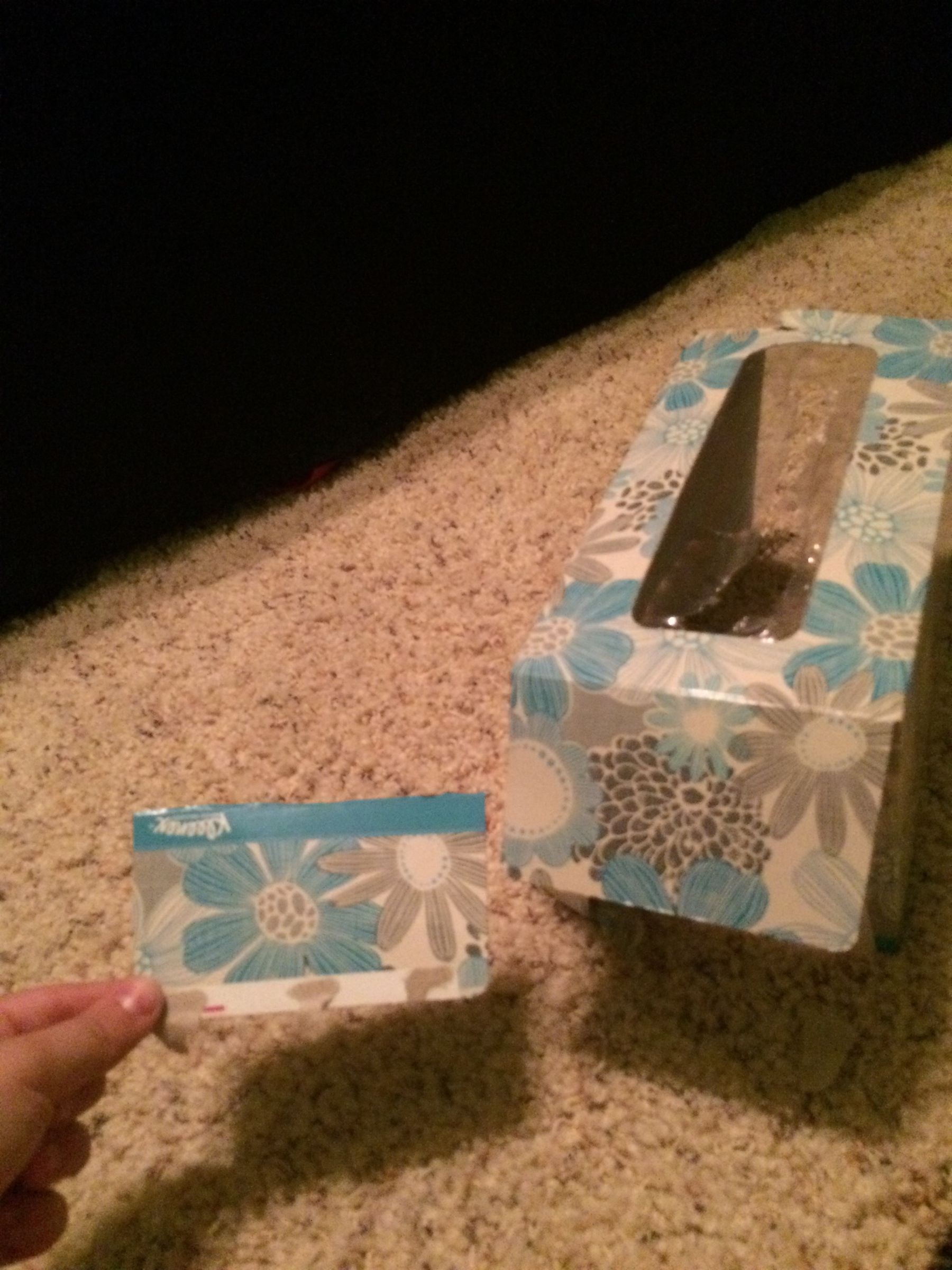 Hidden in Plain Sight- in a Tissue Box : 6 Steps - Instructables