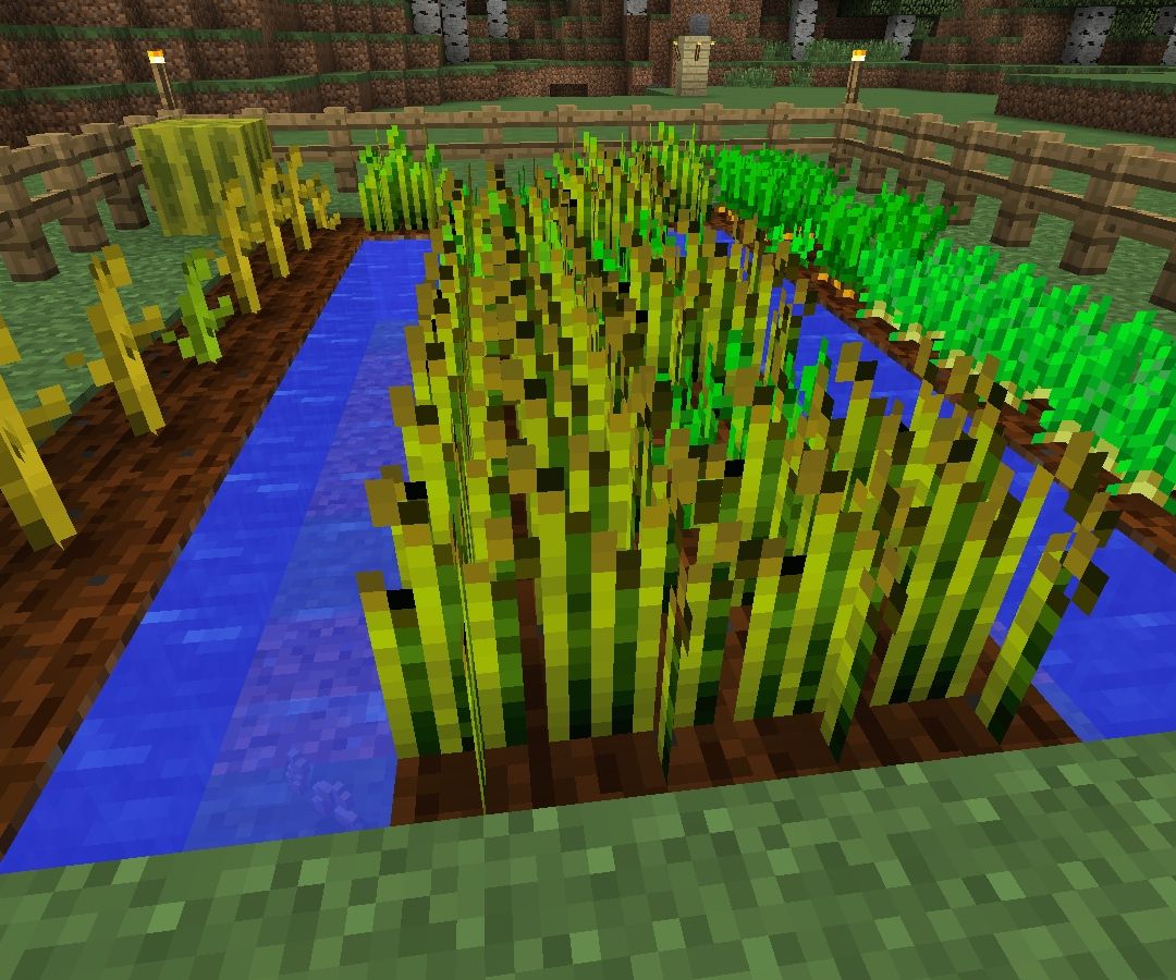 Farming in Minecraft : 10 Steps (with Pictures) - Instructables