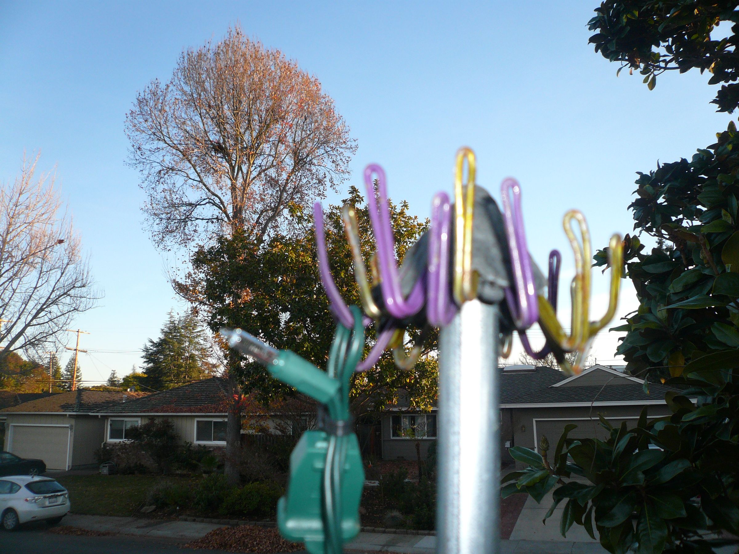 Outdoor String-of-Lights Tree for the Holidays. : 9 Steps - Instructables